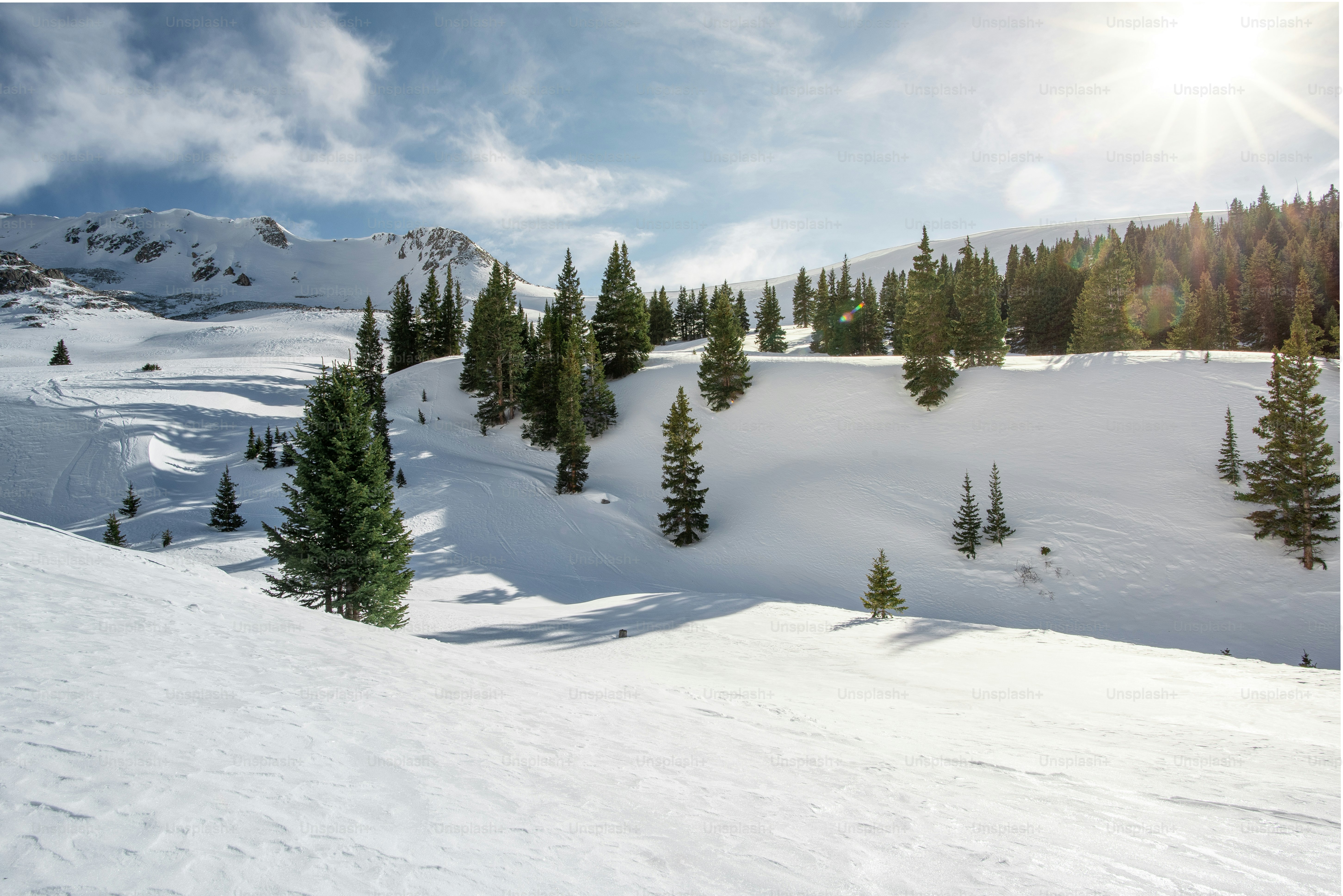 Snow Wallpapers: Free HD Download [500+ 4K]