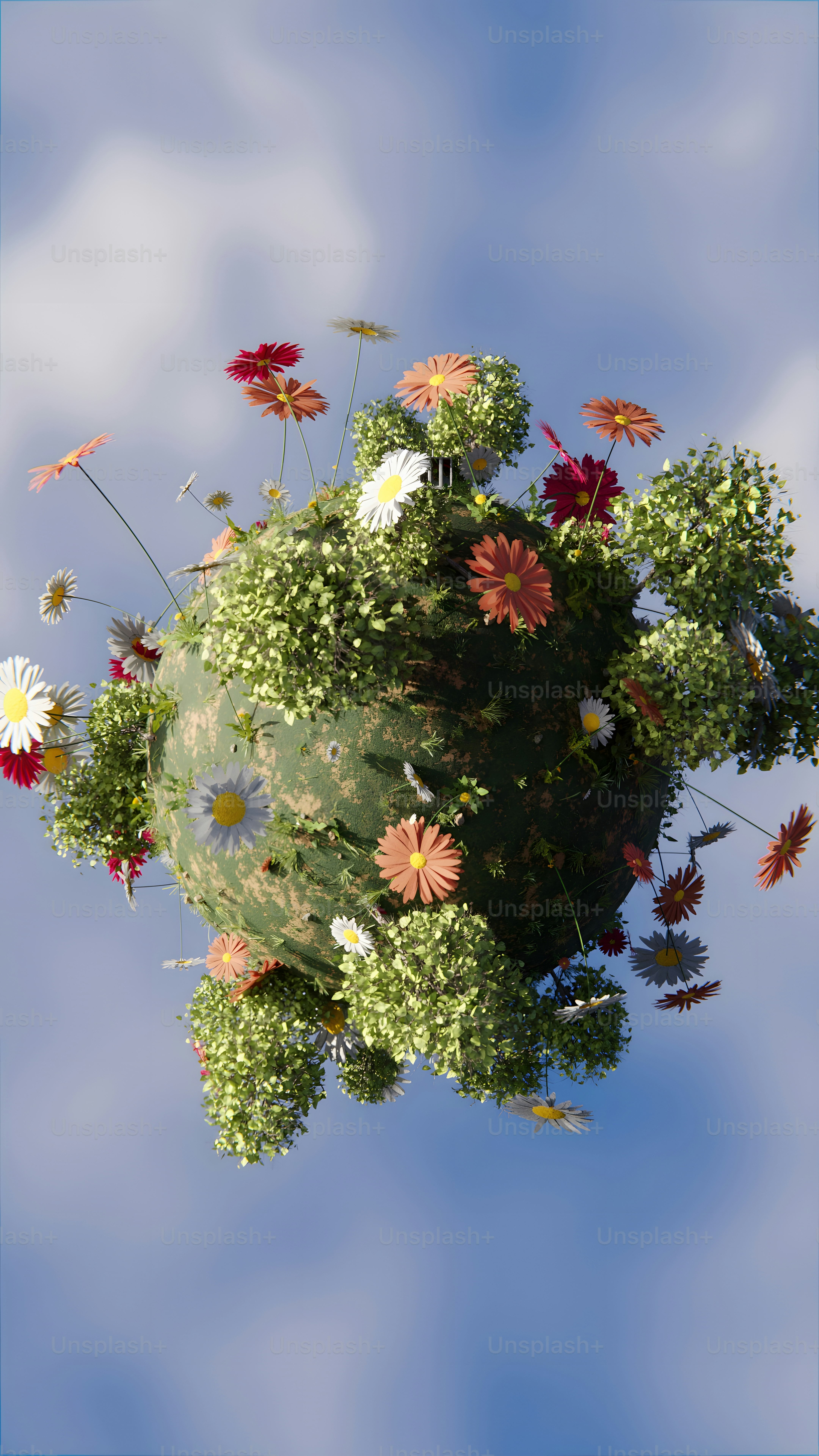 Biosphere Pictures | Download Free Images on Unsplash