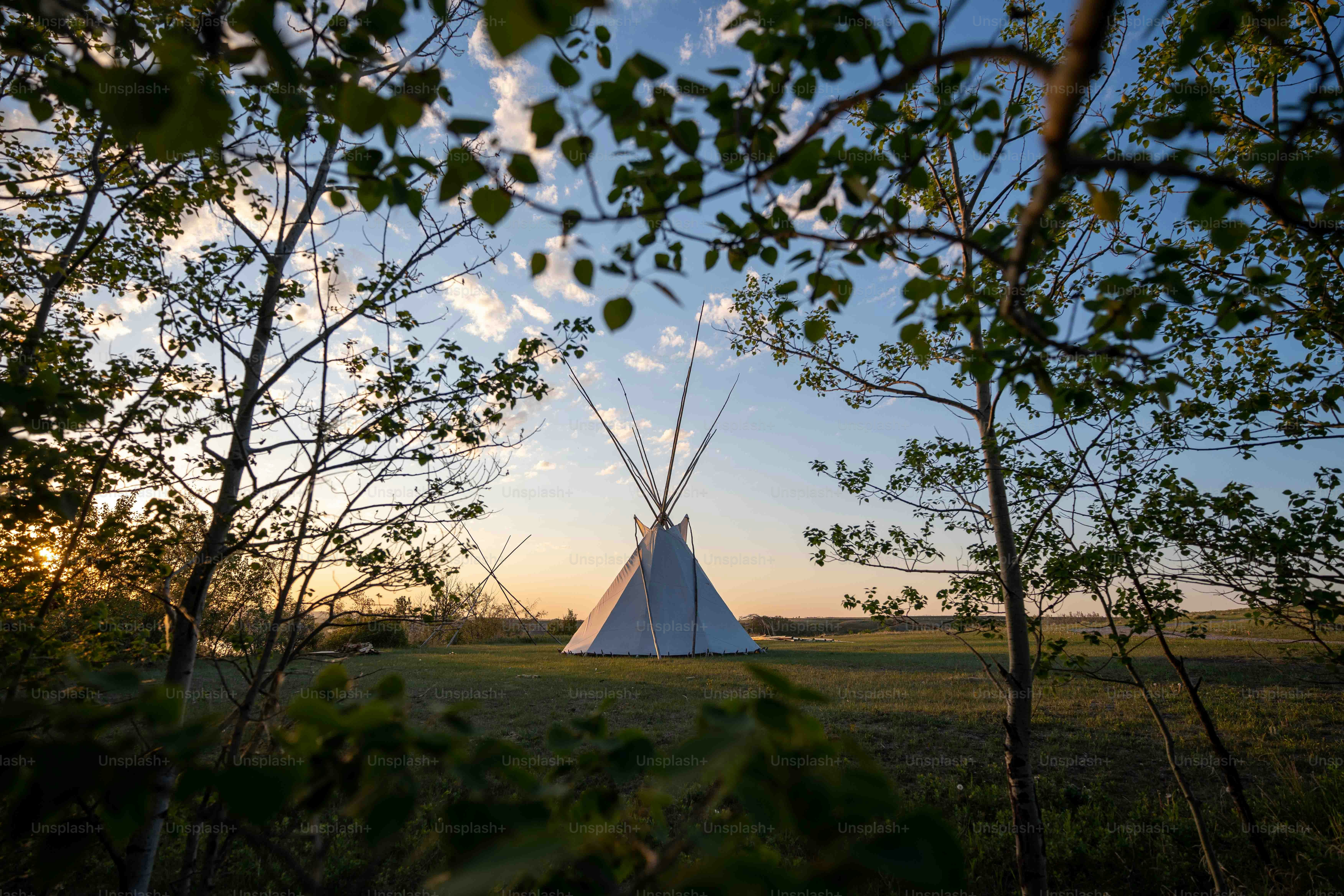 A teepee in the middle of a field surrounded by trees photo – Tipi ...