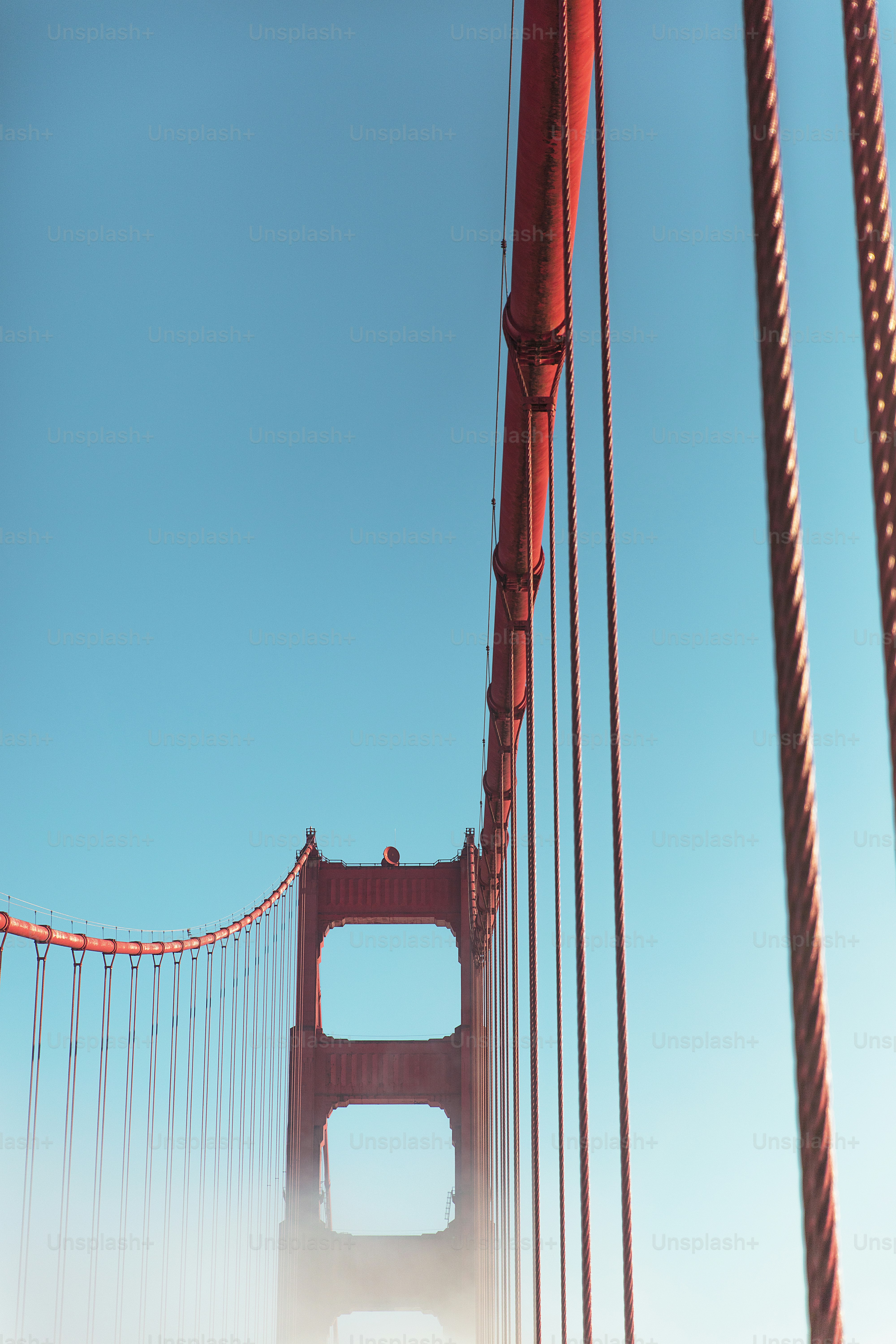 A view of the golden gate bridge from below photo – Architecture Image ...