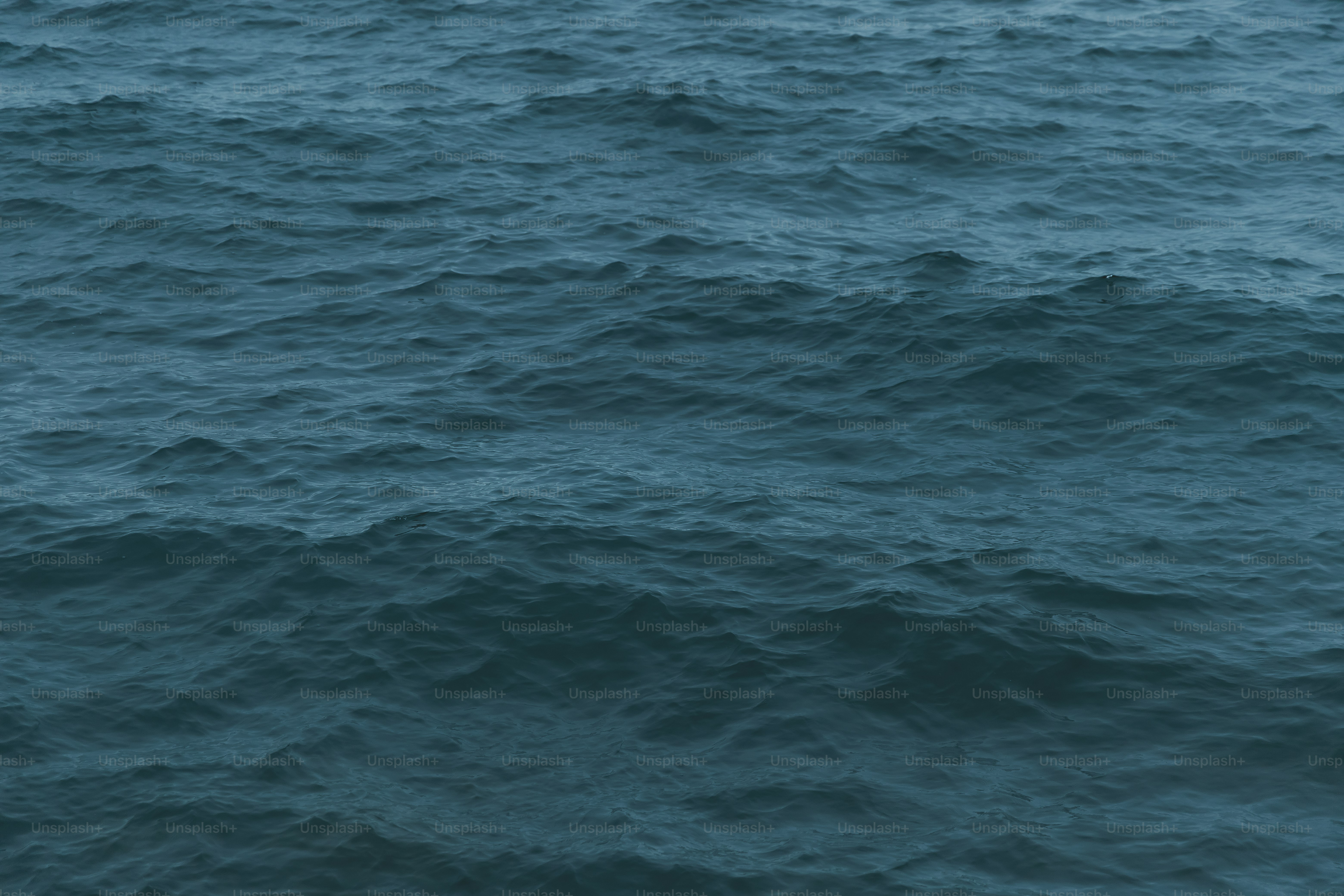 A large body of water covered in lots of water photo – Nature Image on ...