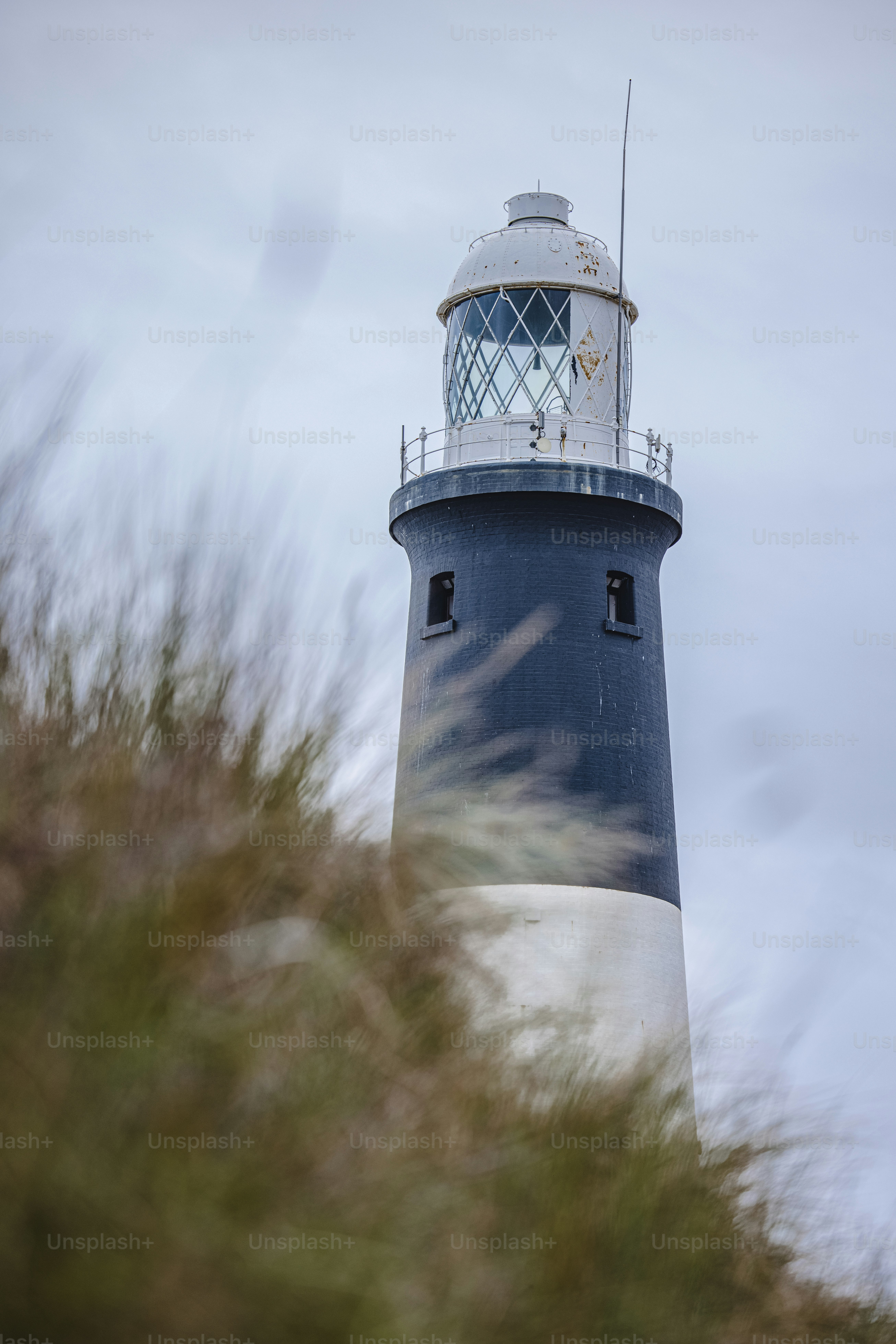 A black and white light house surrounded by trees photo – Lighthouse ...