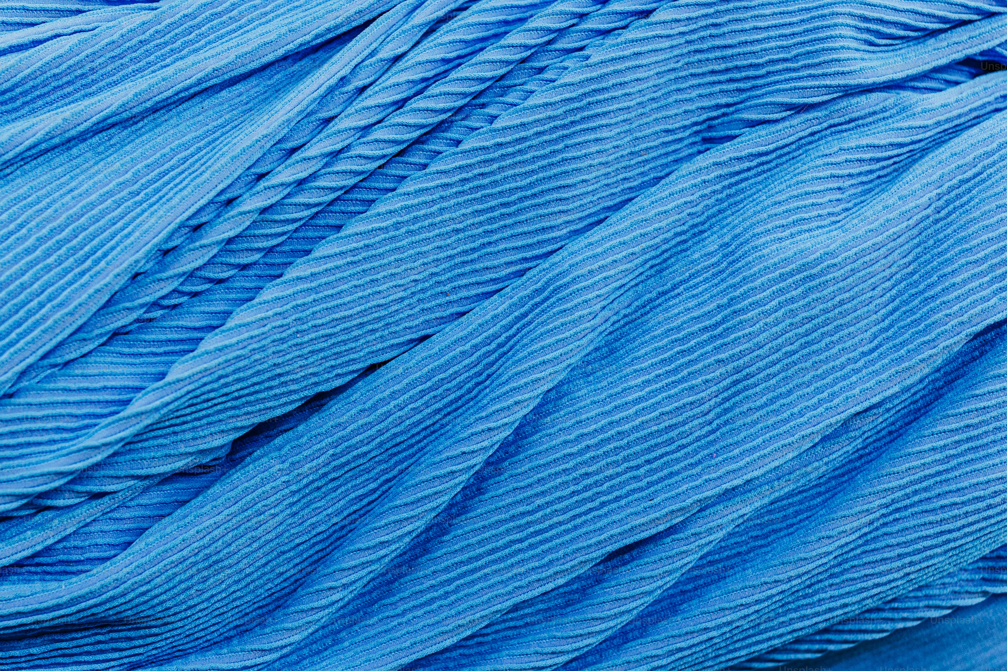 Blue Snake Pictures | Download Free Images on Unsplash