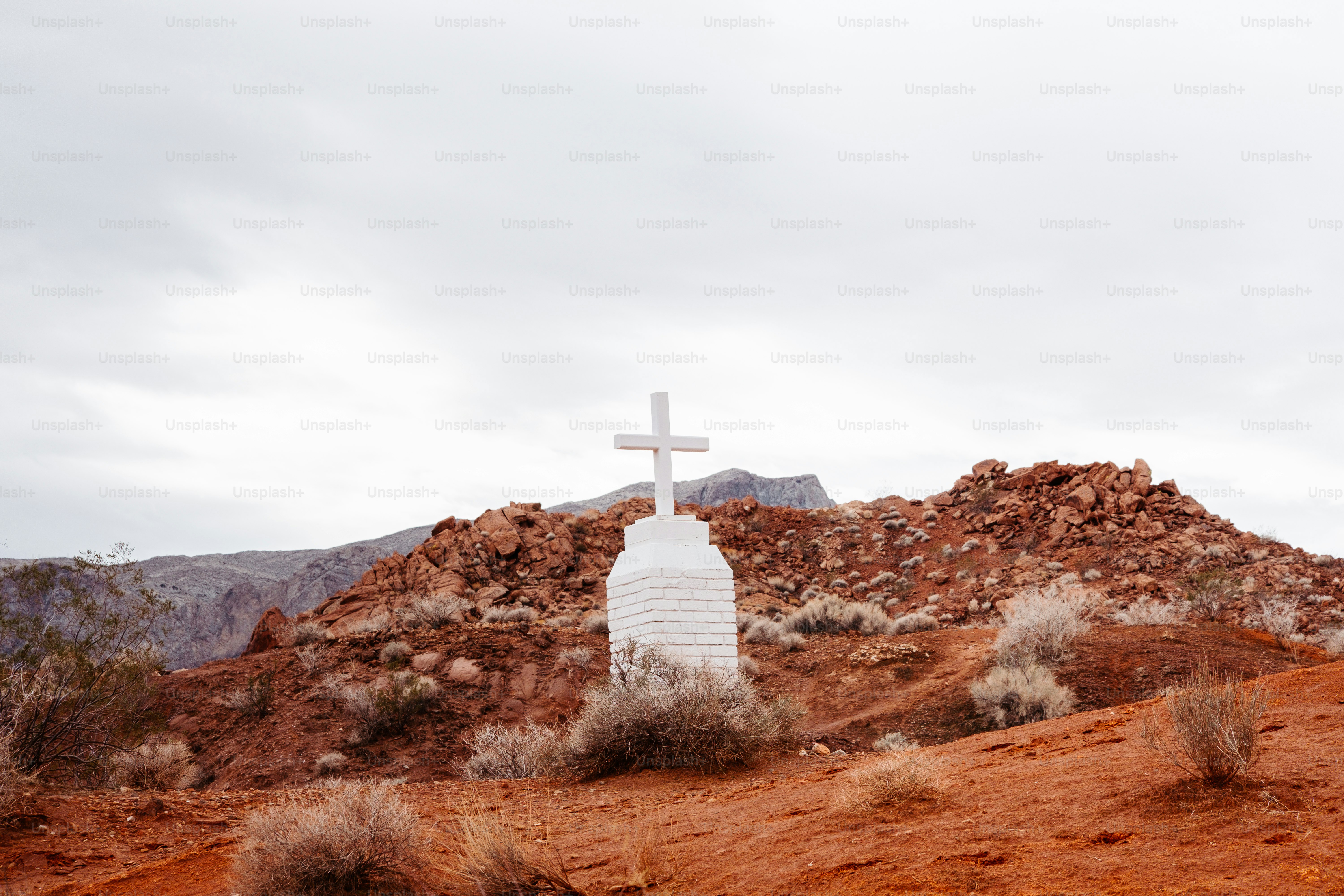750+ Graveyard Pictures | Download Free Images on Unsplash