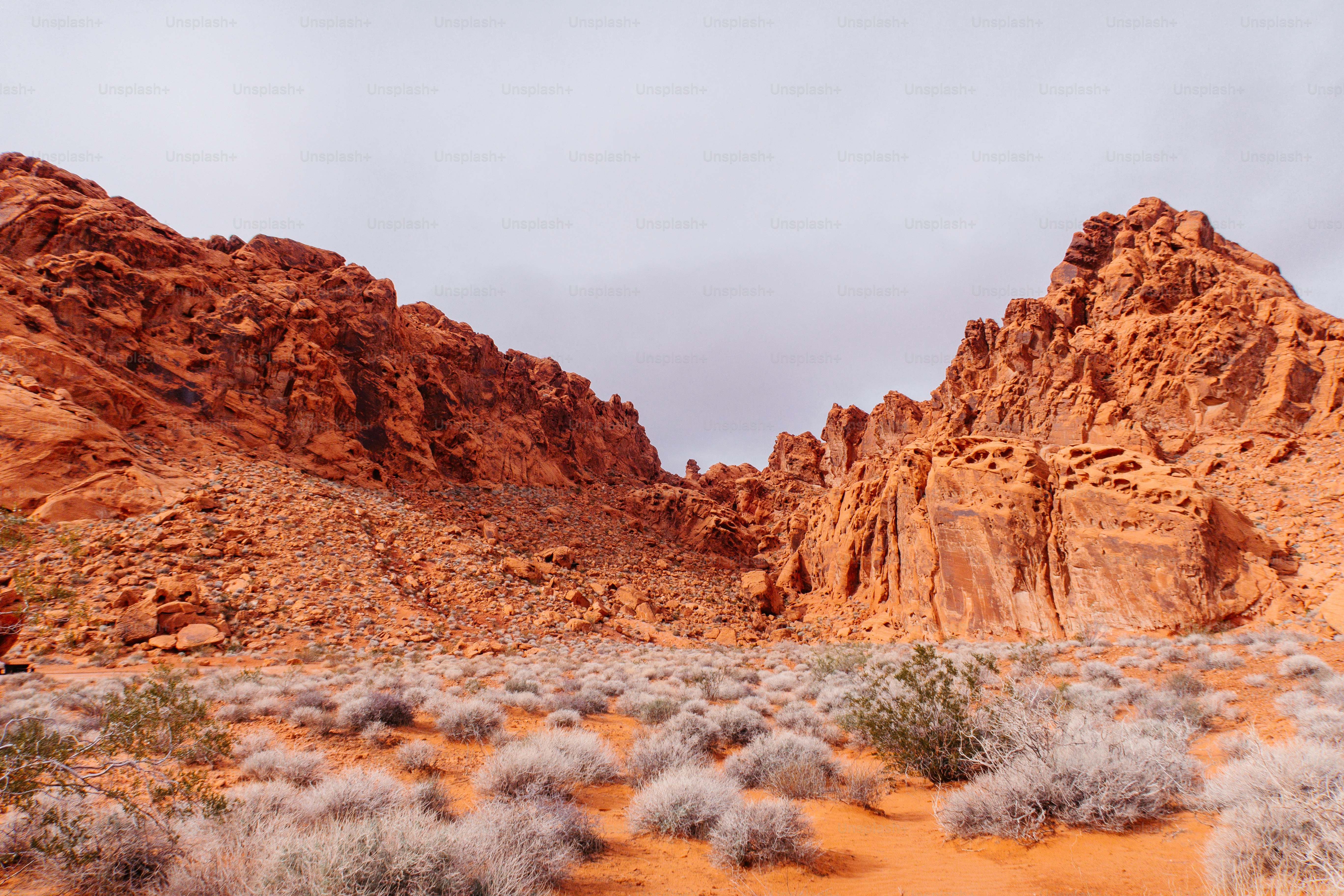 Un paysage désertique avec une montagne en arrière-plan photo – Nevada ...