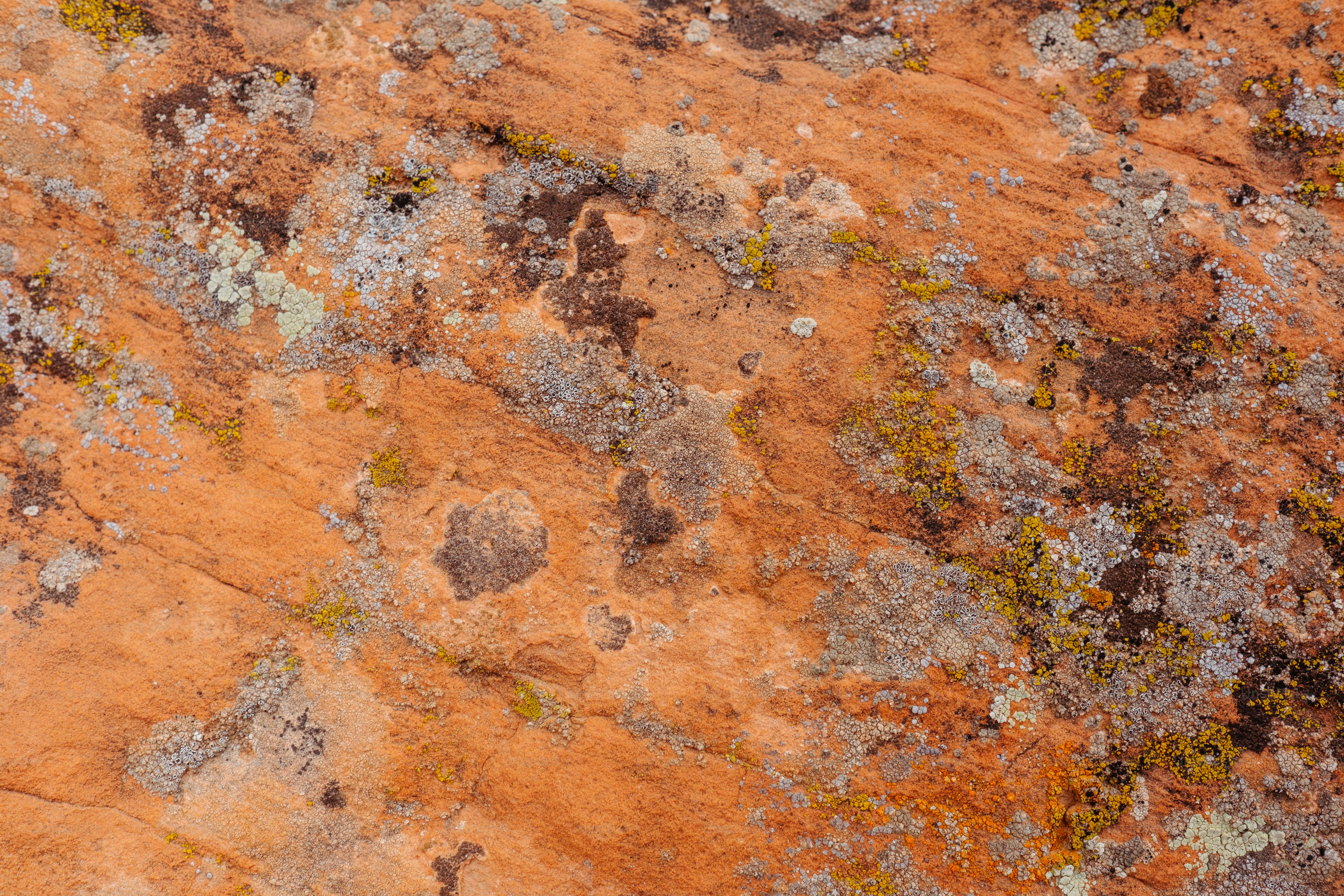 Red Rock Pictures | Download Free Images on Unsplash