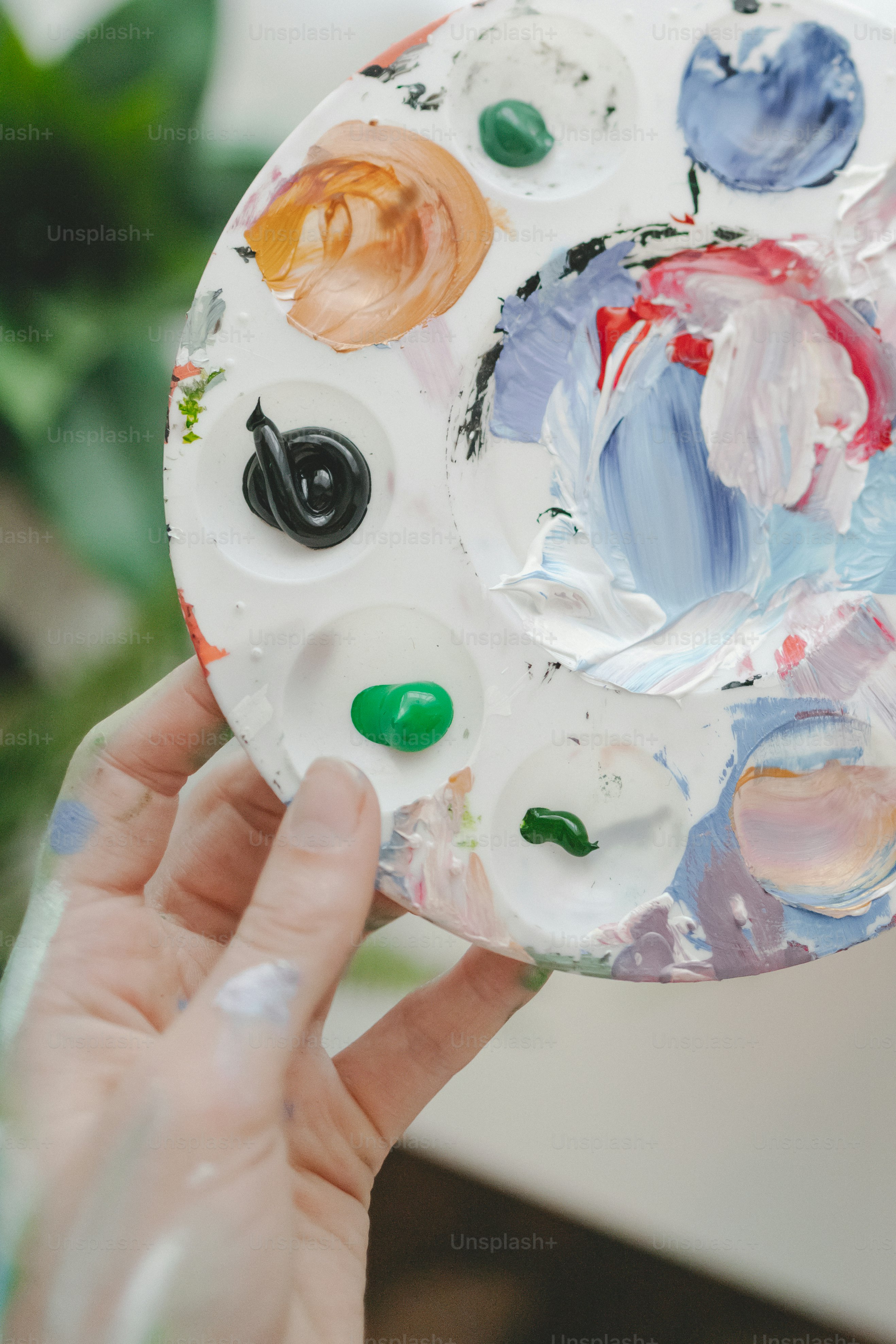 A person holding a paint palette in their hand photo – Creative Image ...