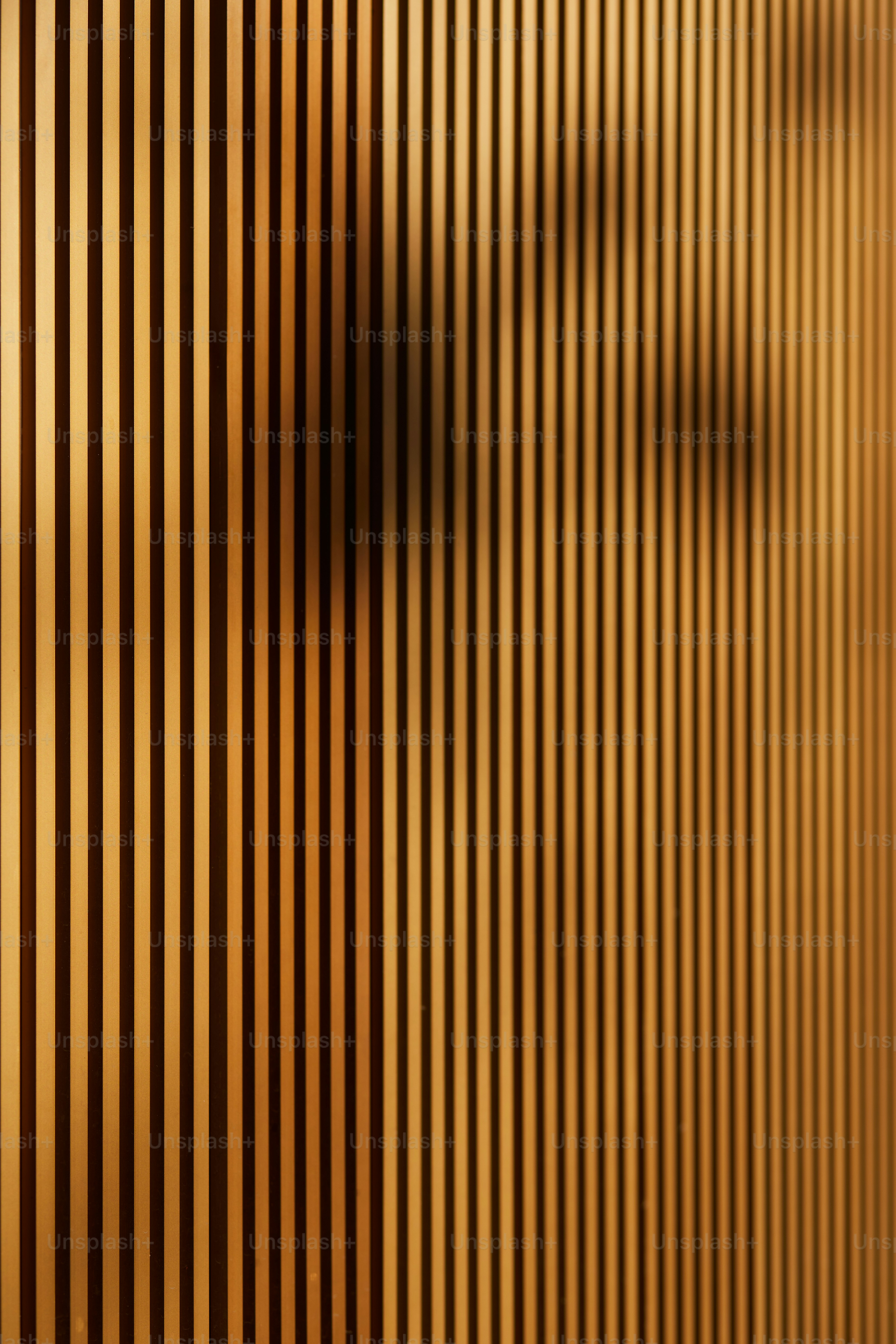 100+ Vertical Pictures | Download Free Images & Stock Photos on Unsplash