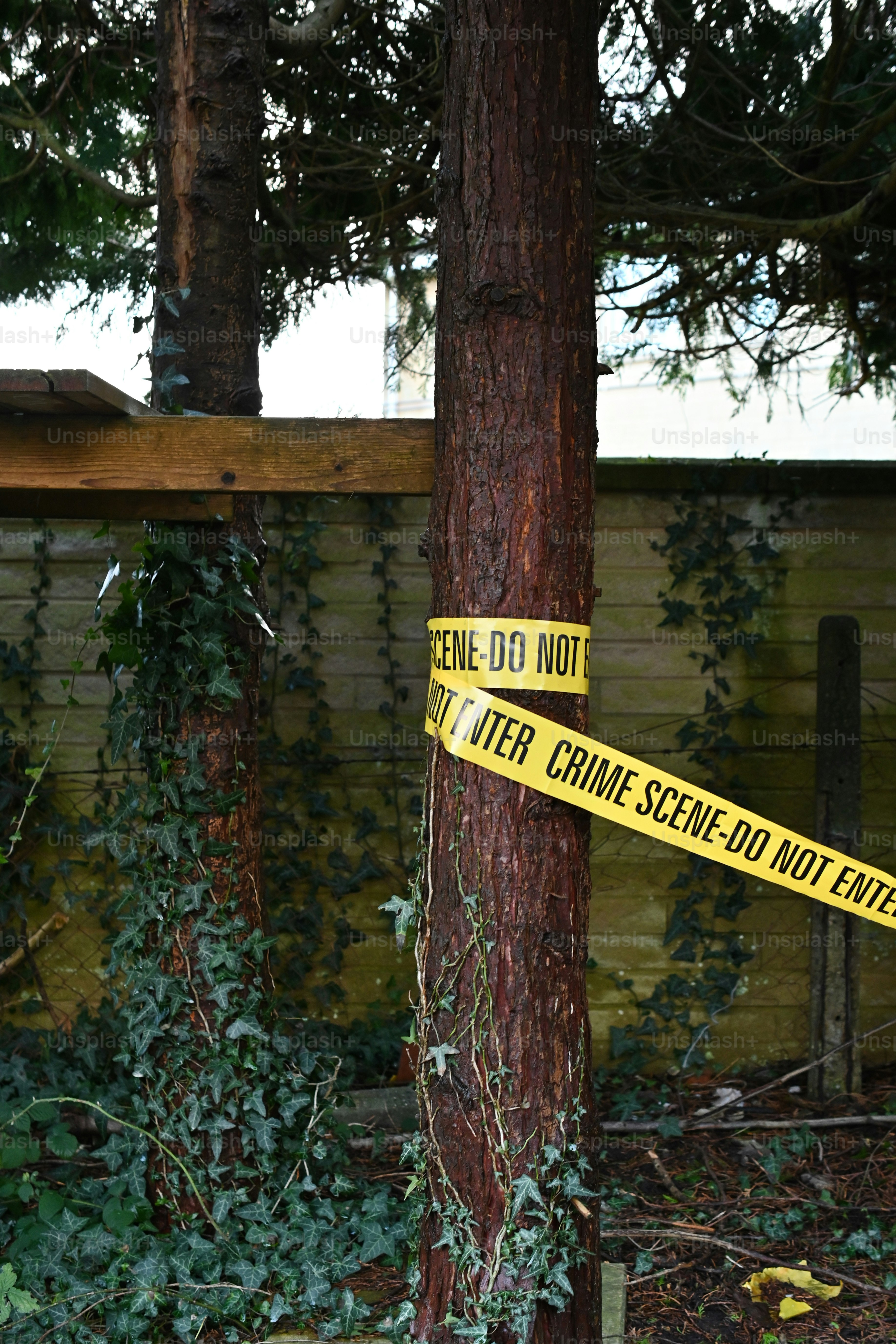 A yellow caution tape wrapped around a tree photo – Crime scene tape ...