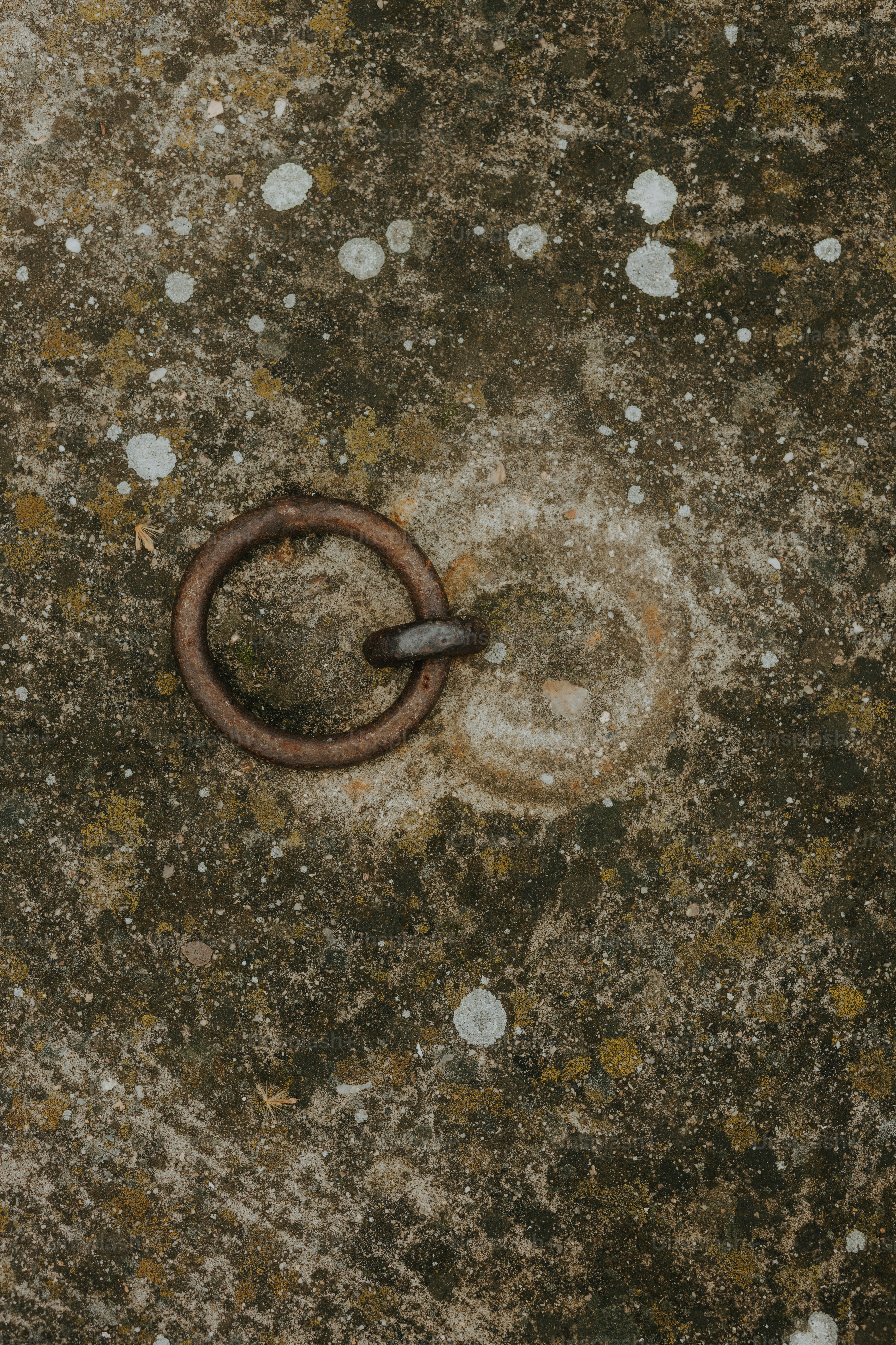 A rusted metal ring sitting on top of a cement floor photo – Concrete ...