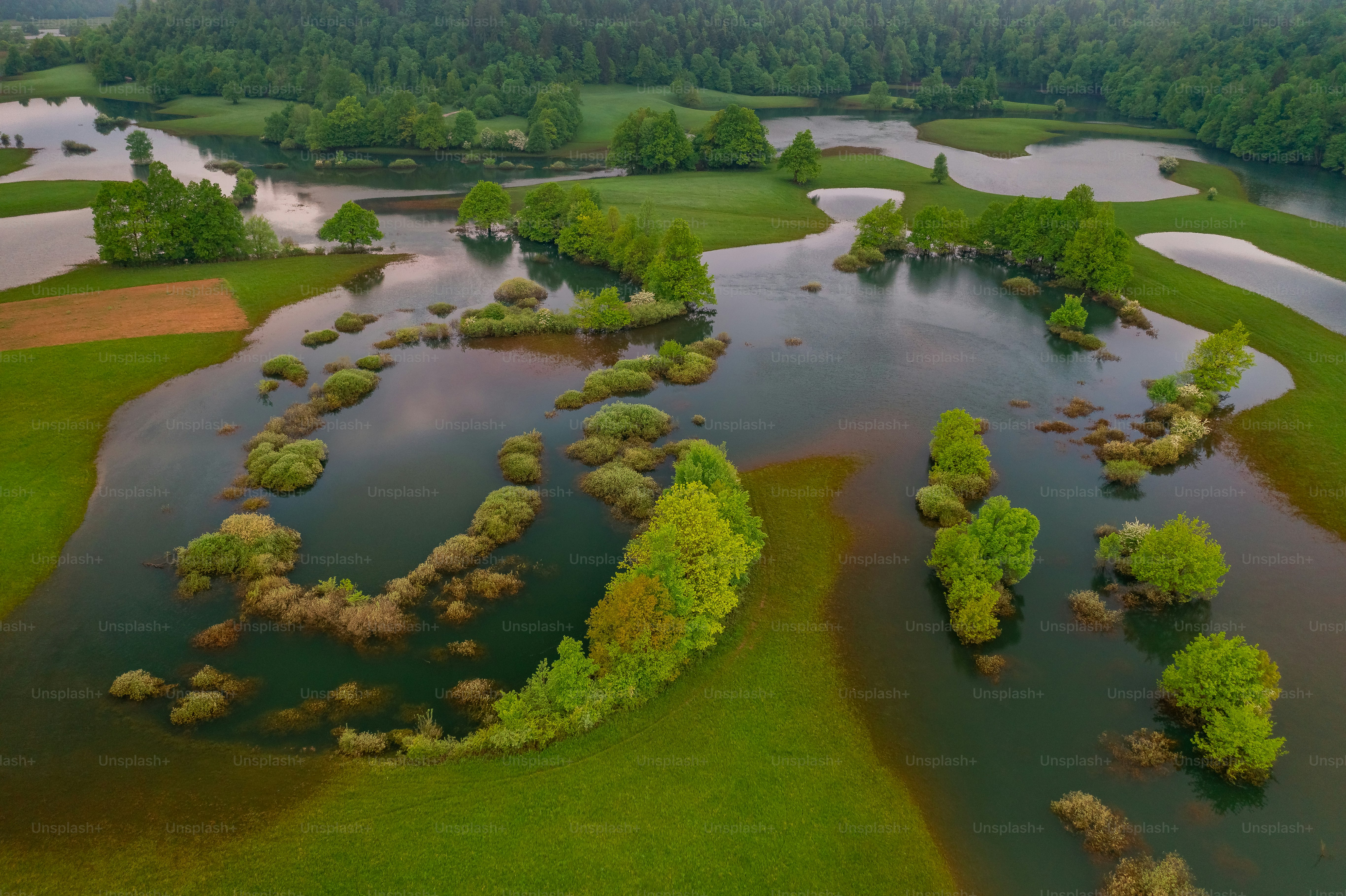 A small pond in the middle of a grassy field photo – Natural Image on ...
