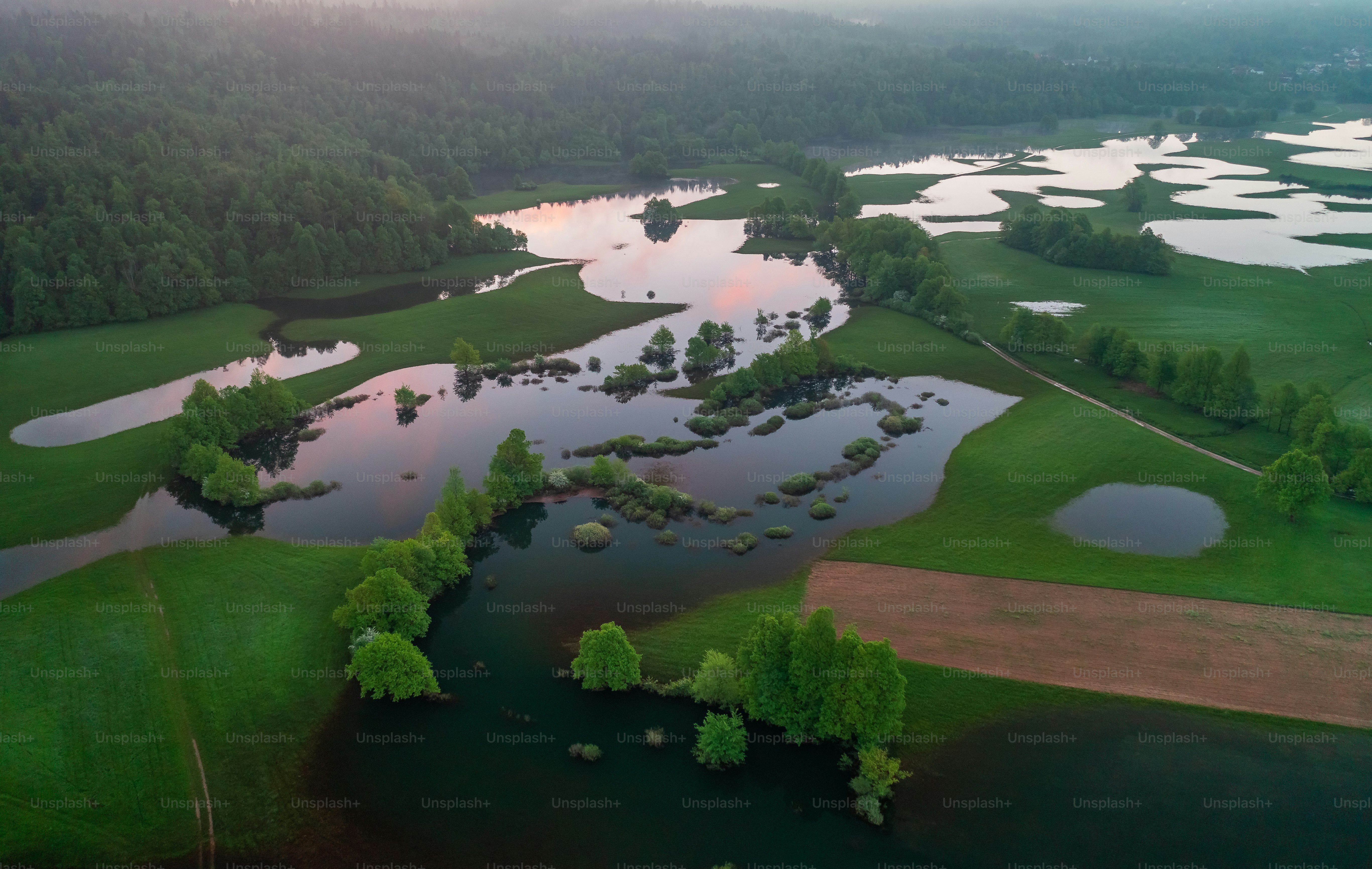 A small pond in the middle of a grassy field photo – Natural Image on ...