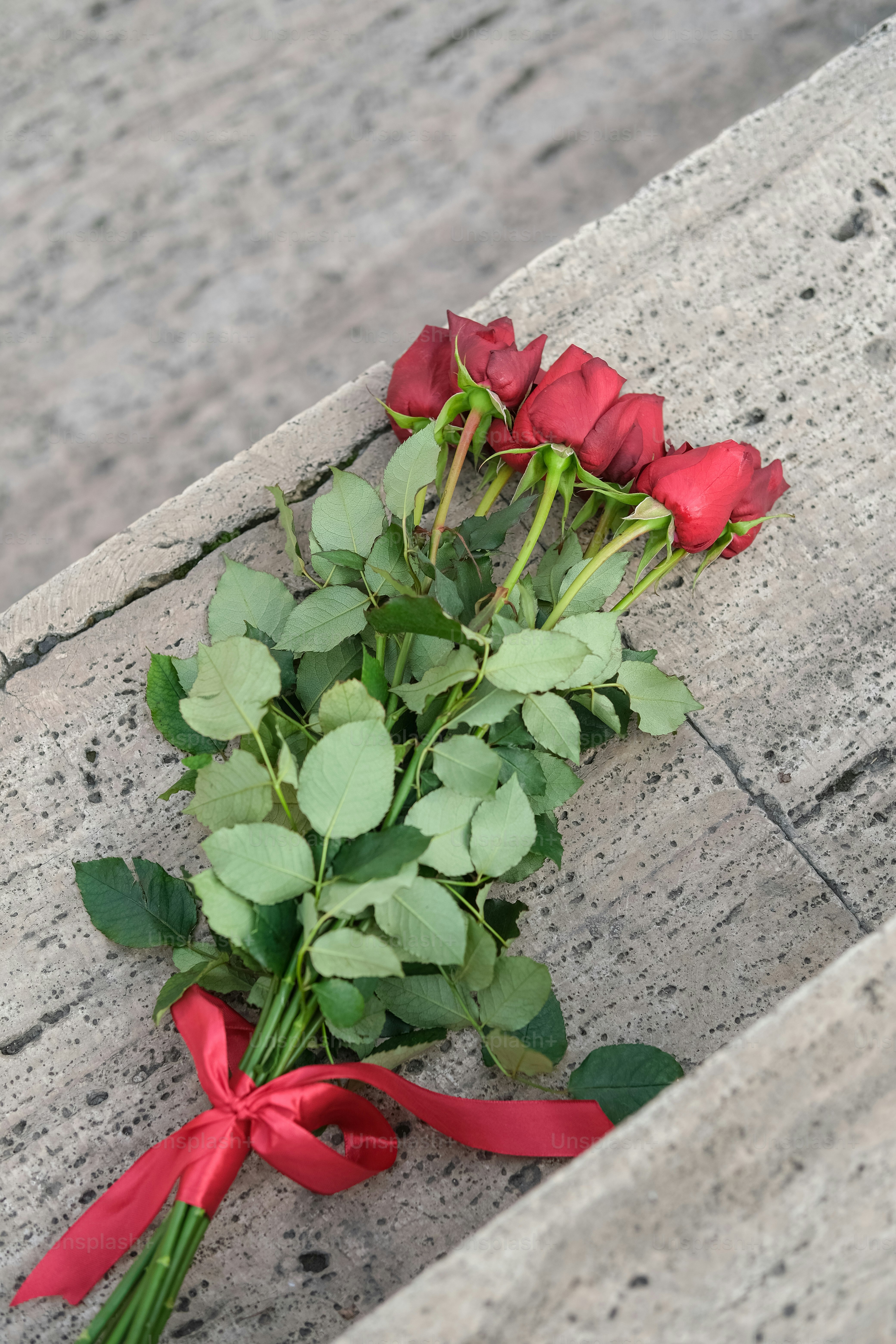 A bunch of red roses laying on the ground photo – Red roses bouquet ...
