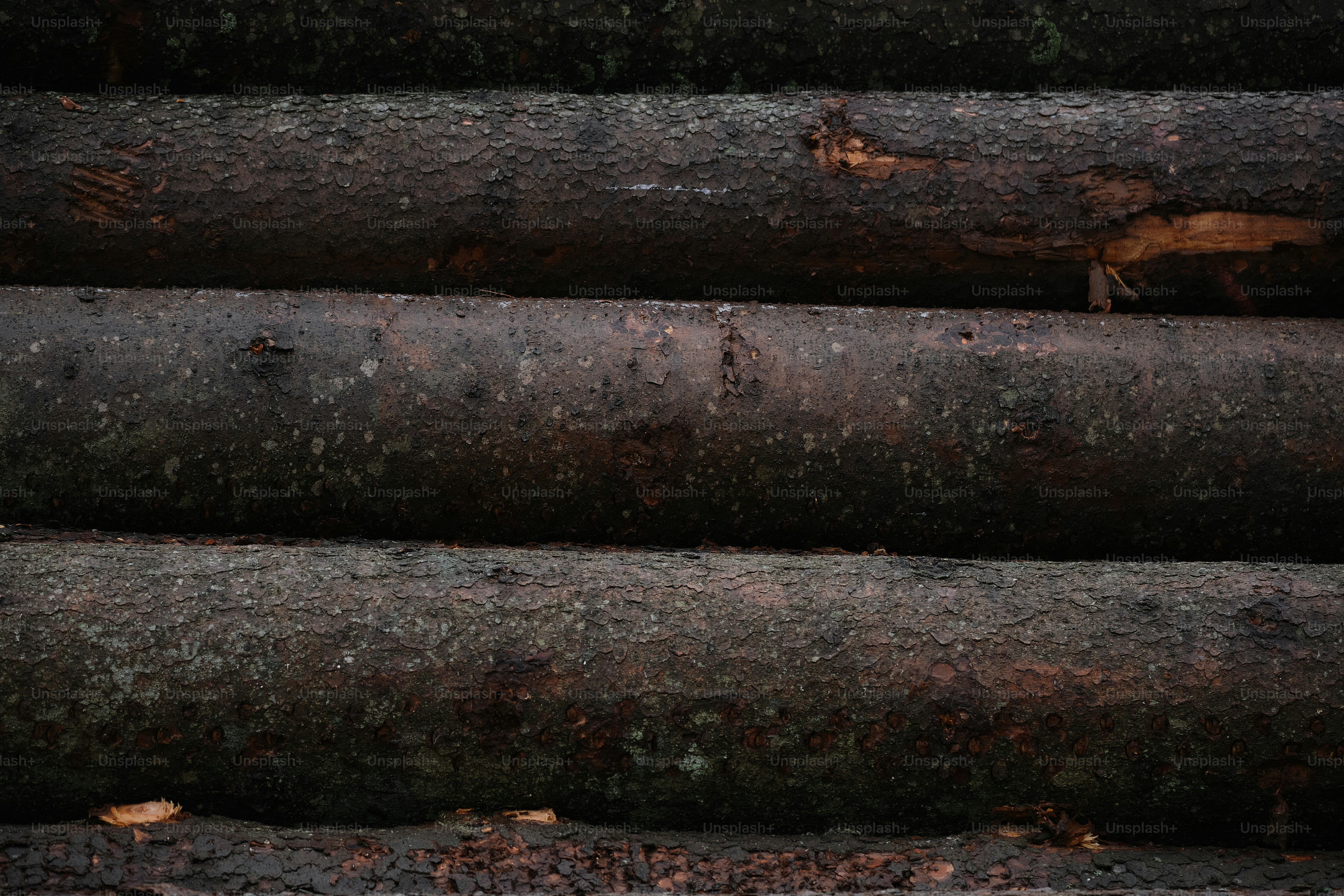 A bunch of logs stacked on top of each other photo – Wood Image on Unsplash