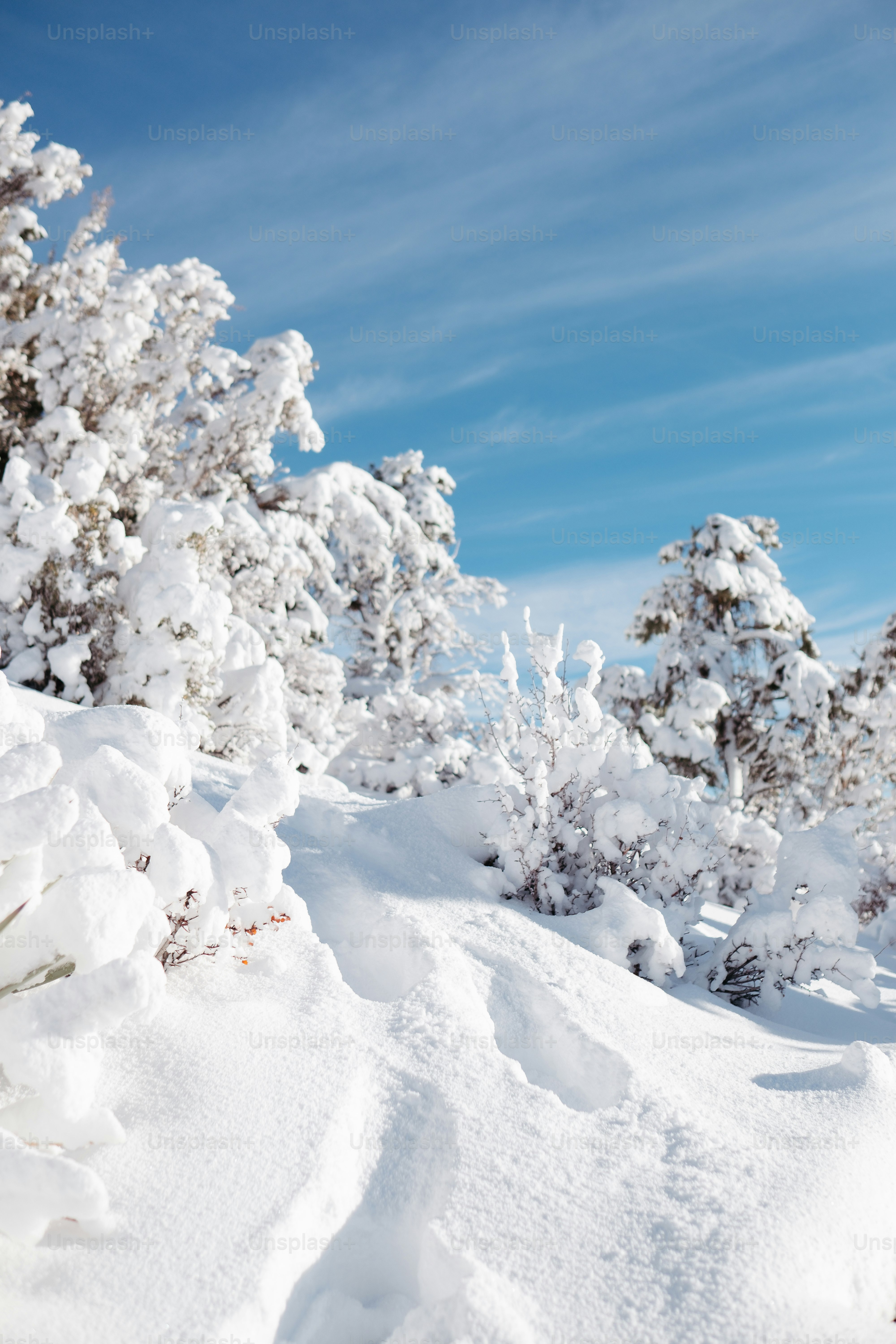 A man riding skis down a snow covered slope photo – Nature Image on ...