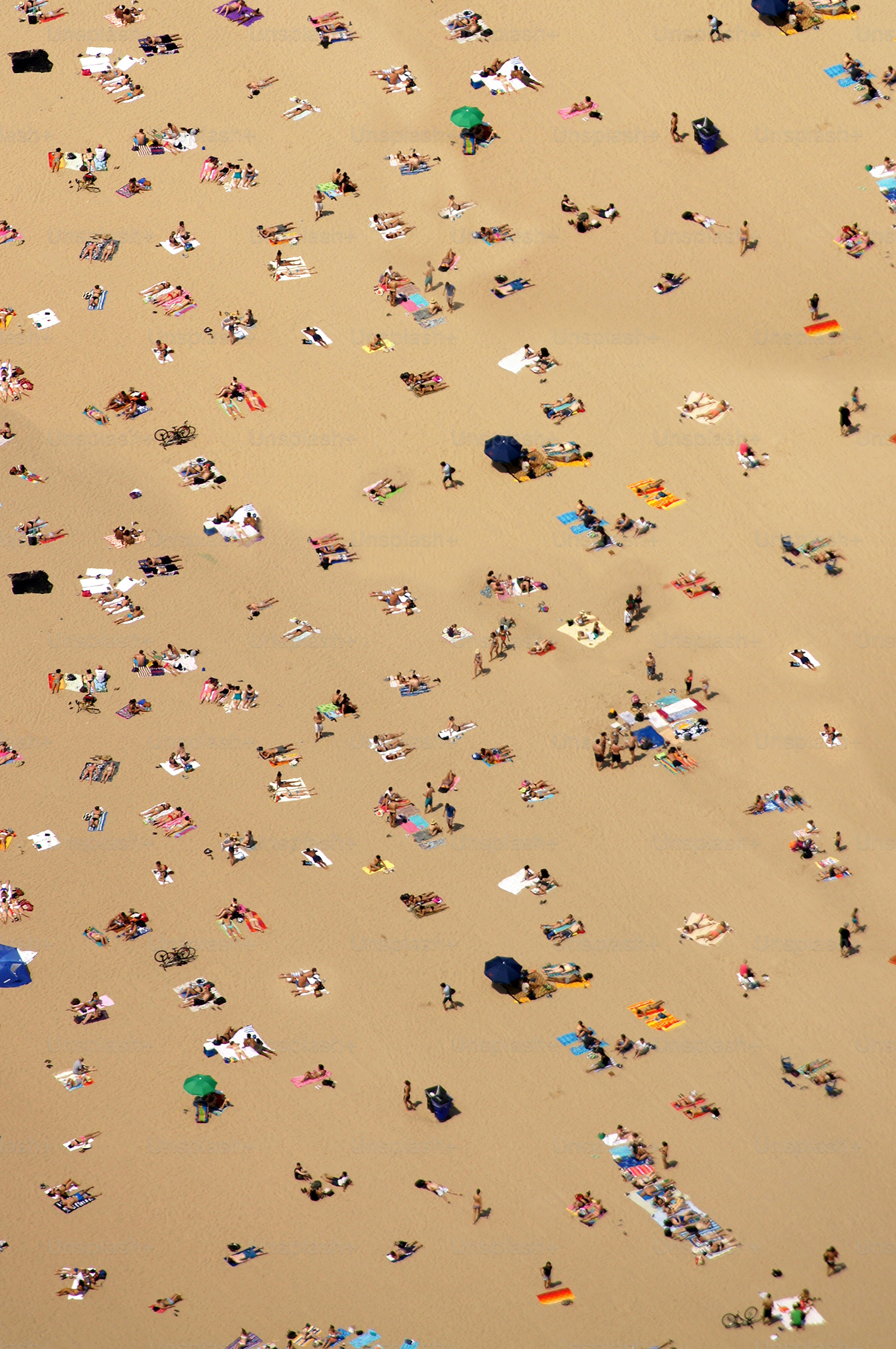 30,000+ Tanning Pictures | Download Free Images on Unsplash