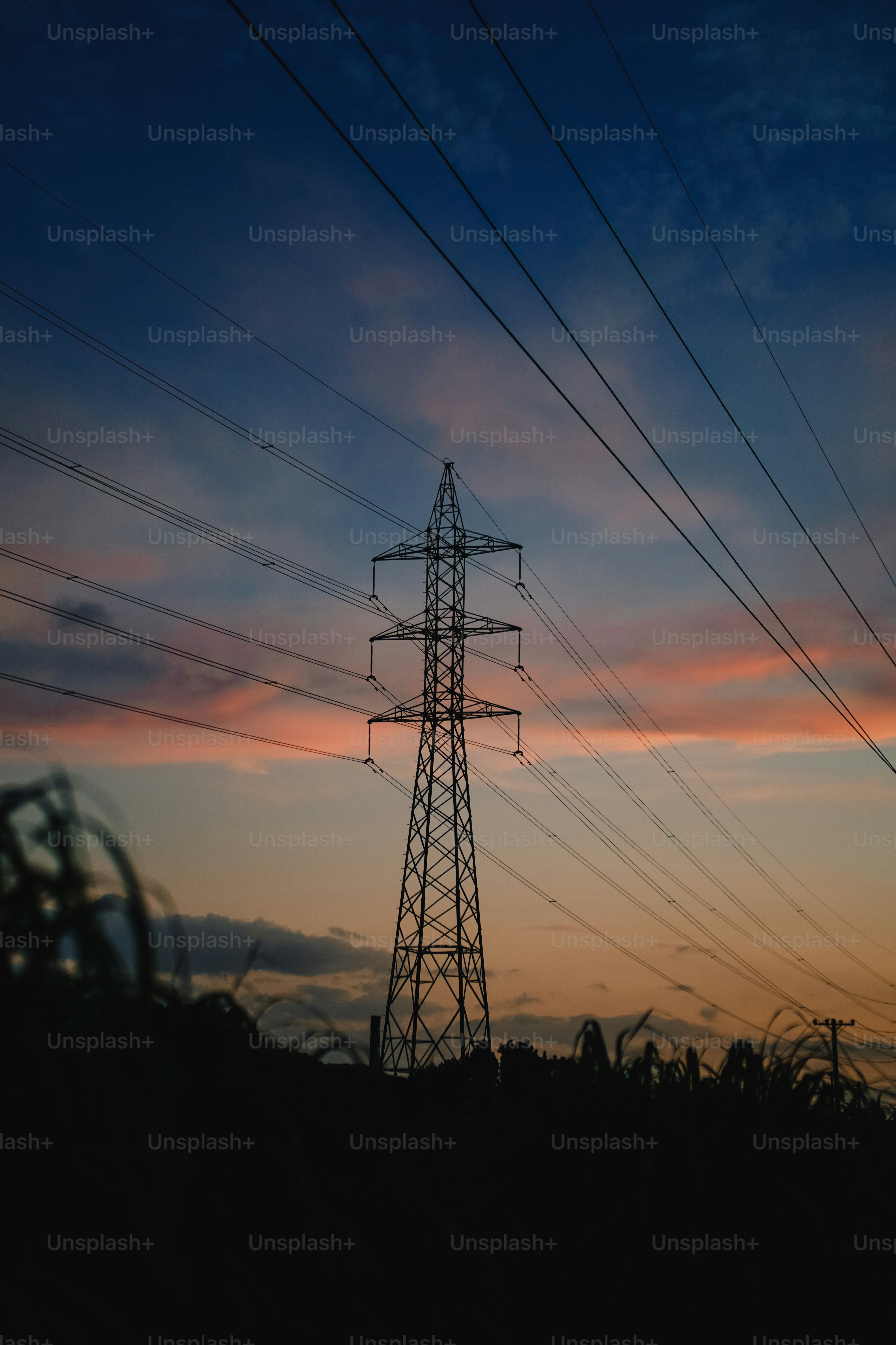 Source Pictures | Download Free Images on Unsplash