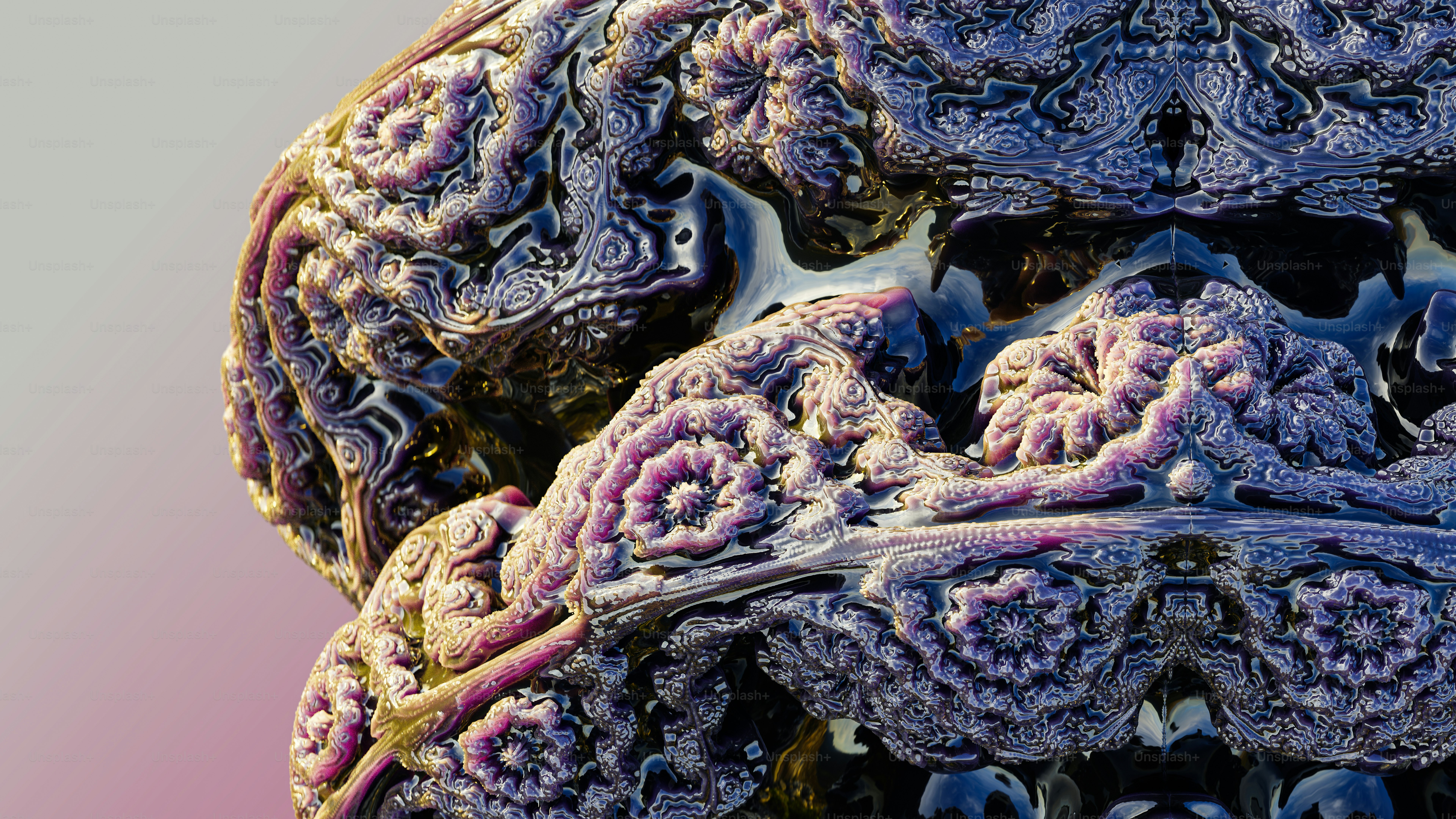 The structure of a human's brain photo – Fractal Image on Unsplash