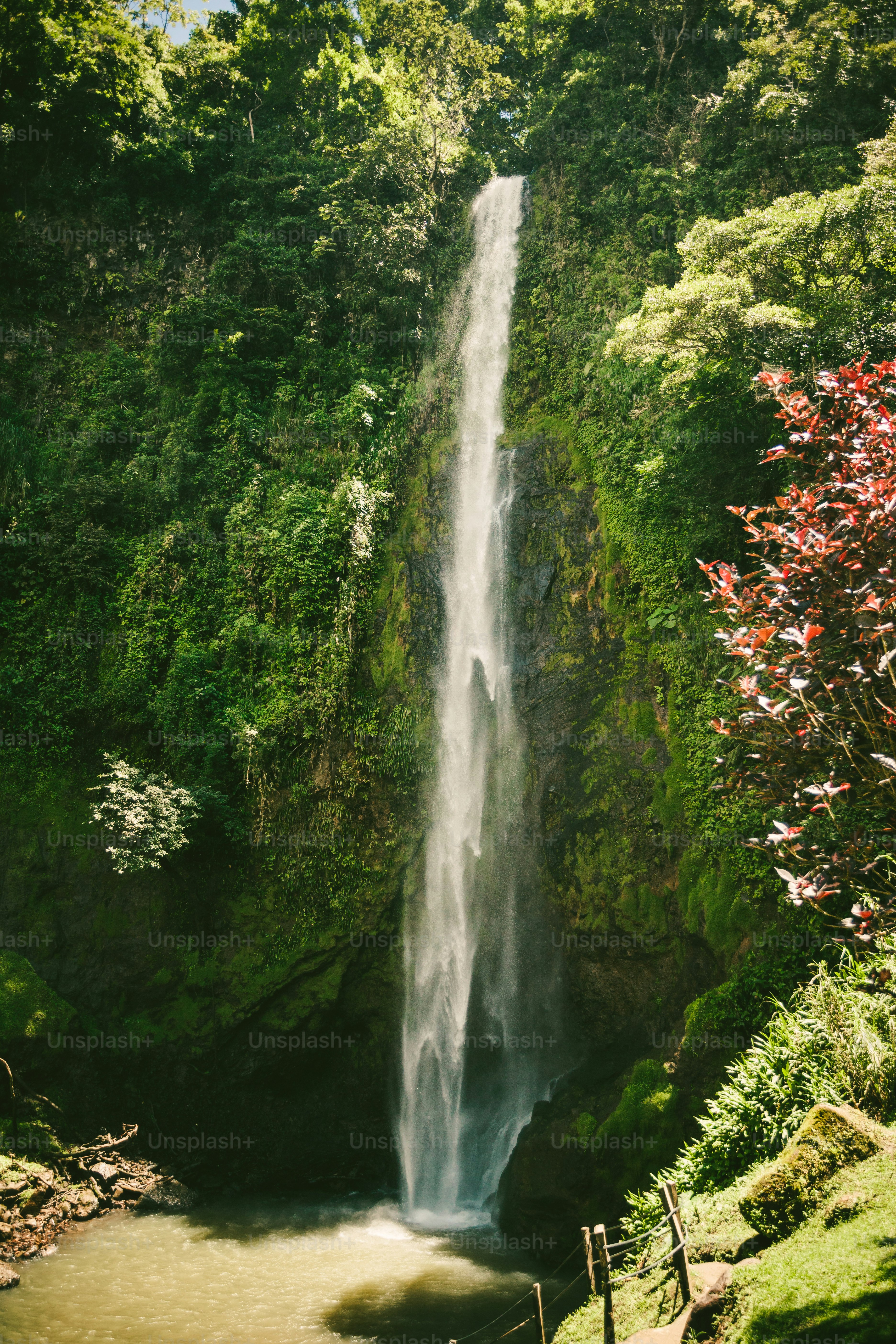 A large waterfall in the middle of a forest photo – Green natural Image ...