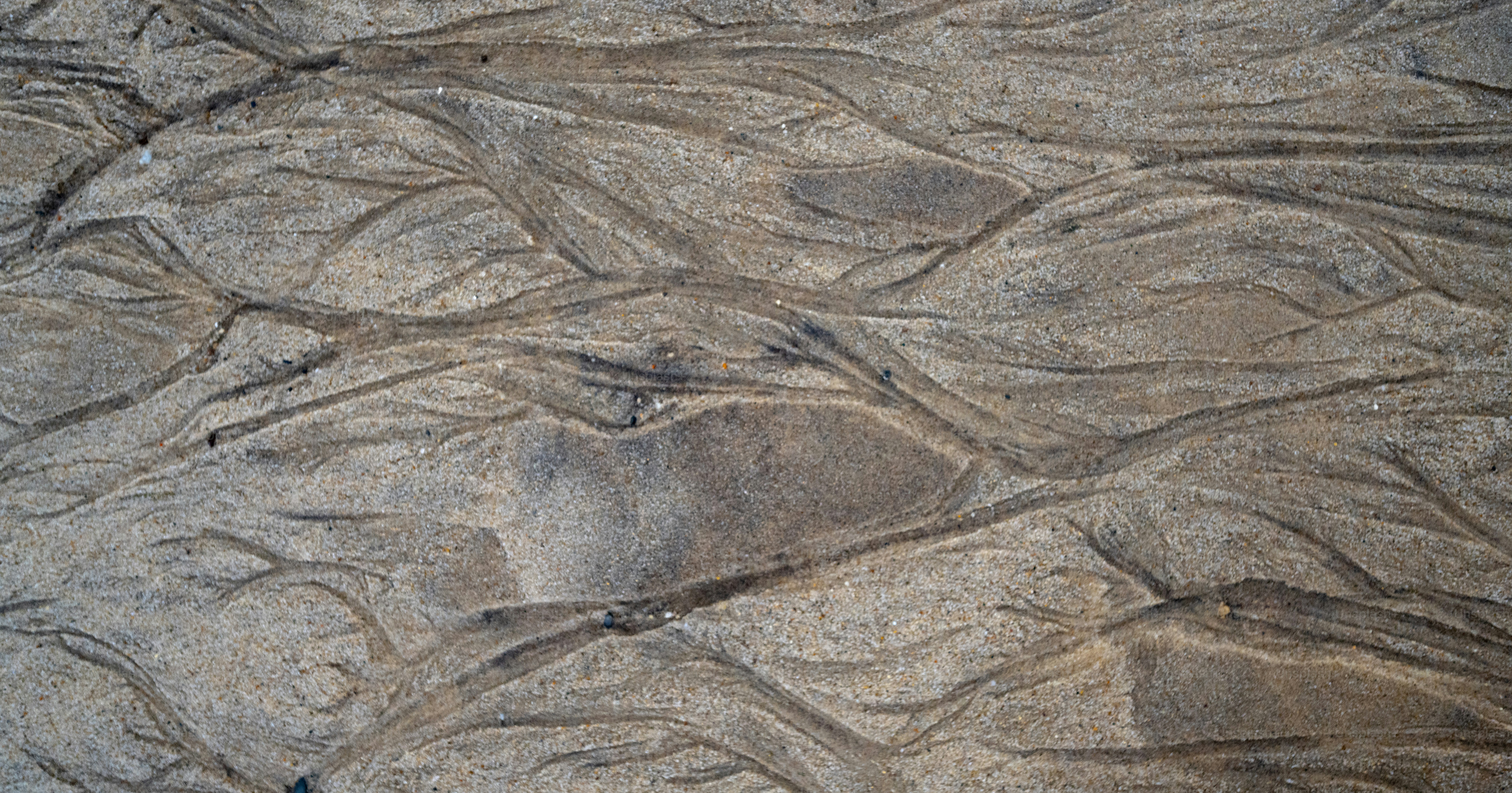 Neutral Landscape Pictures | Download Free Images on Unsplash