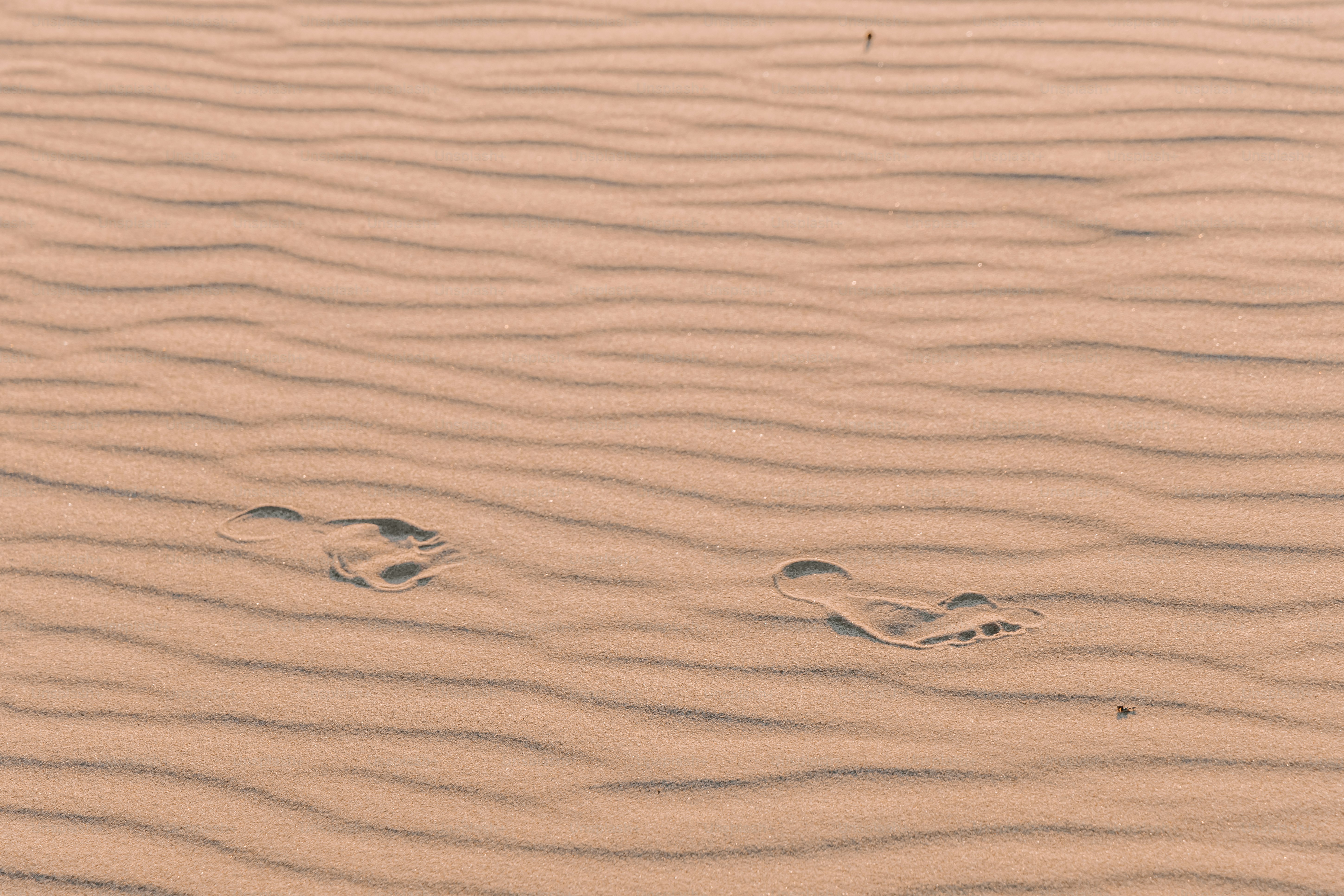 Two footprints in the sand of a beach photo – Carbon footprint Image on ...