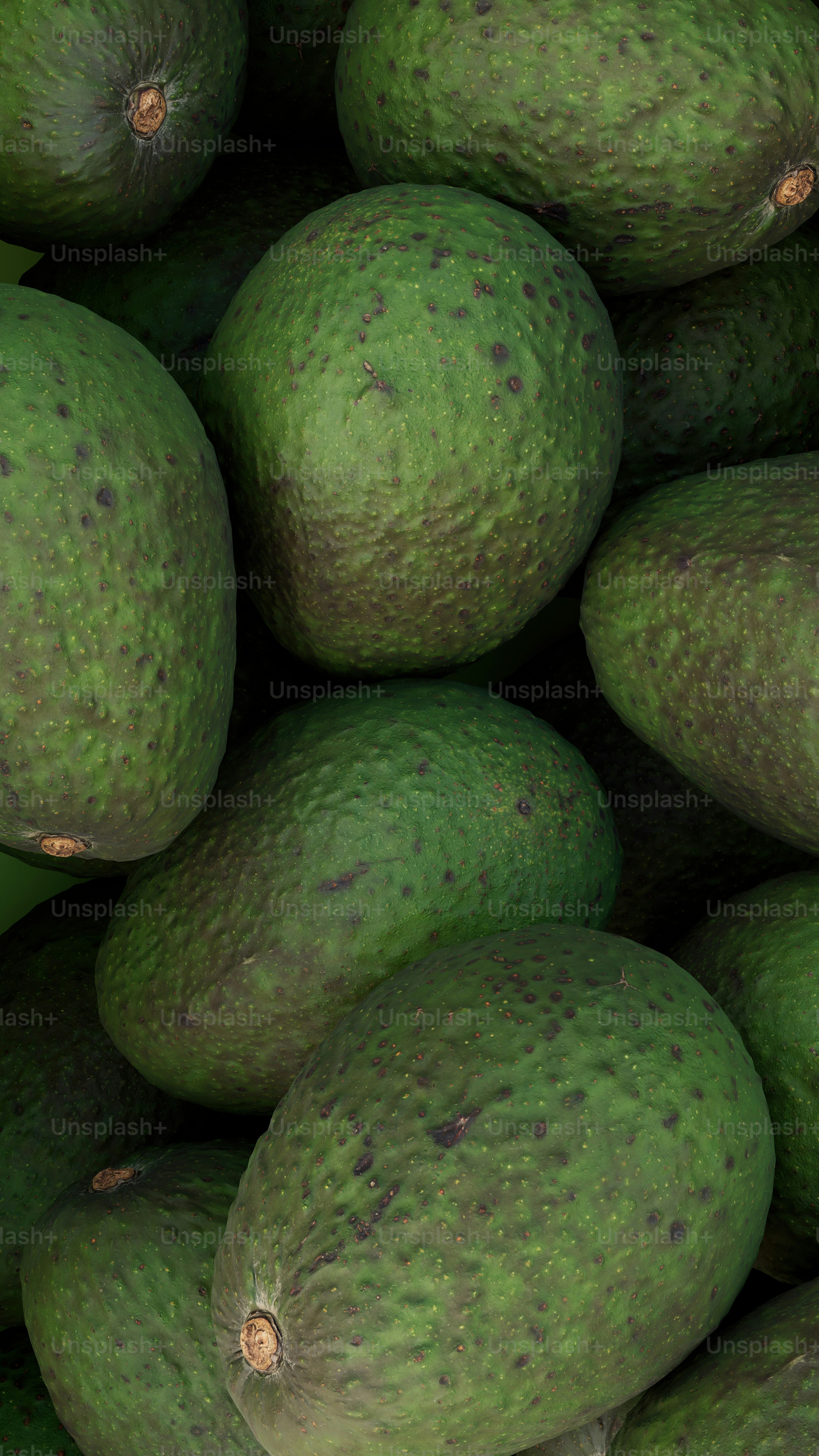 A pile of green avocados sitting next to each other photo – Avocado ...