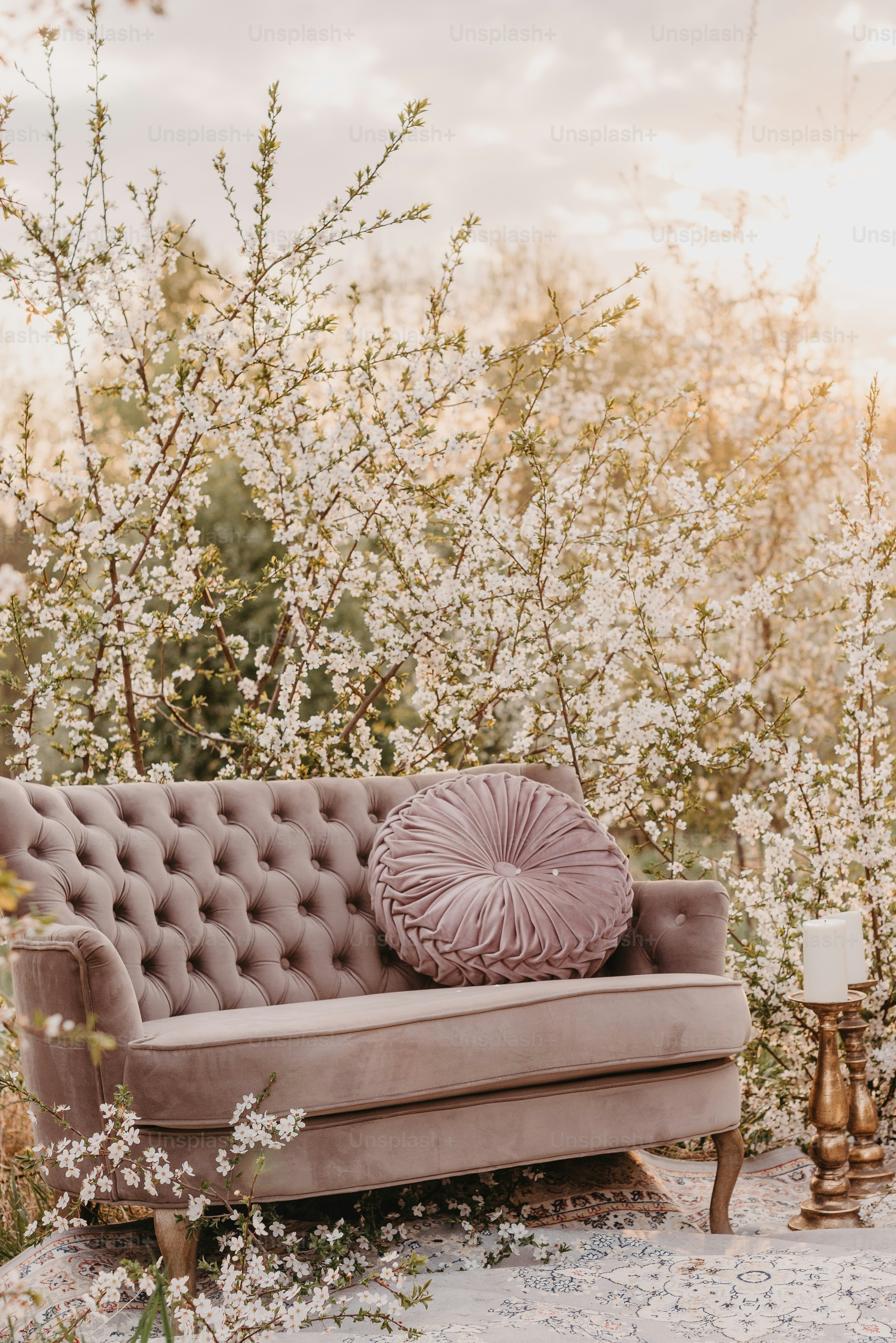 45,628+ Cushion Pictures | Download Free Images on Unsplash