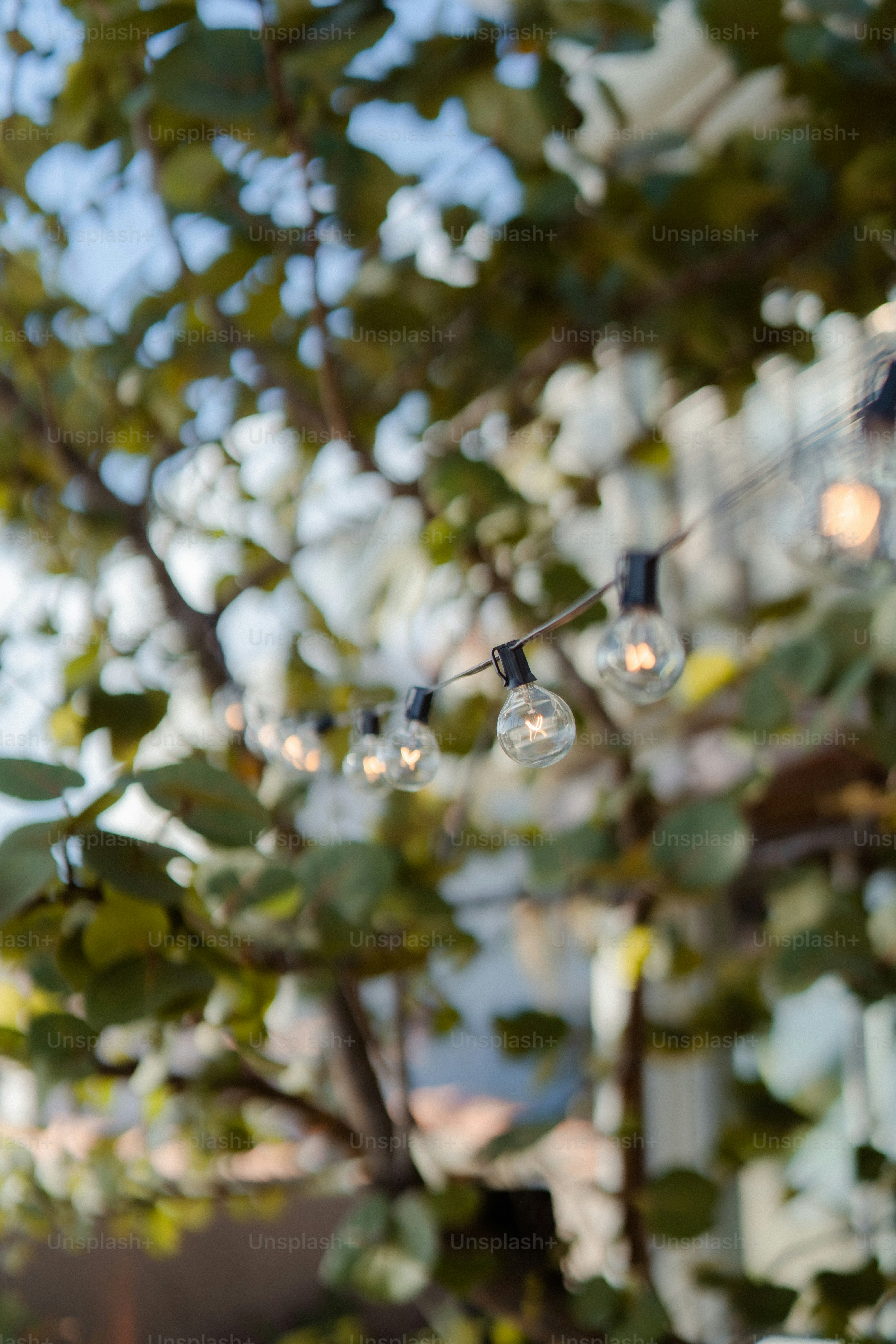 String Lights Pictures | Download Free Images on Unsplash