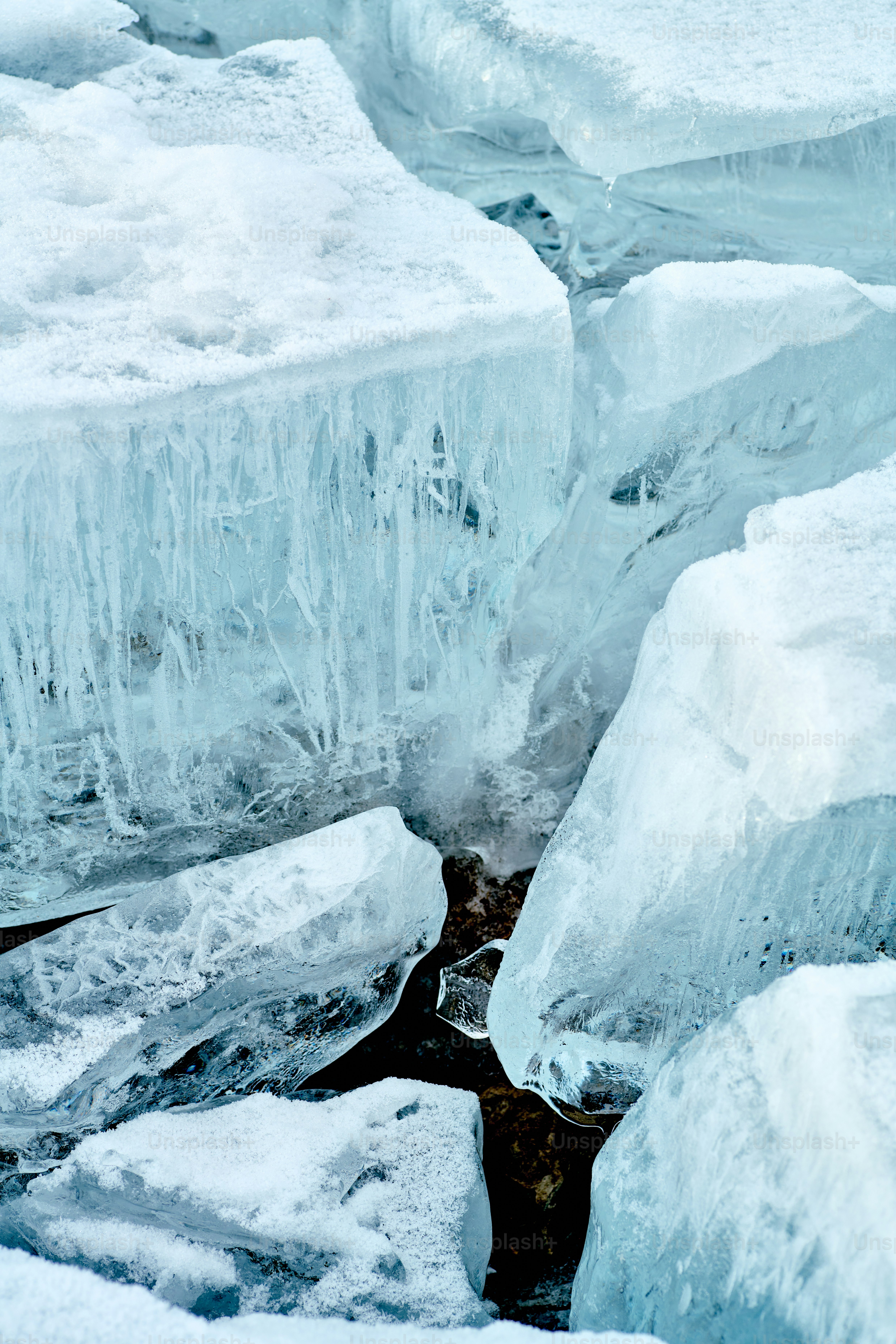 A polar bear sitting on ice blocks in the water photo – Ice berg Image ...