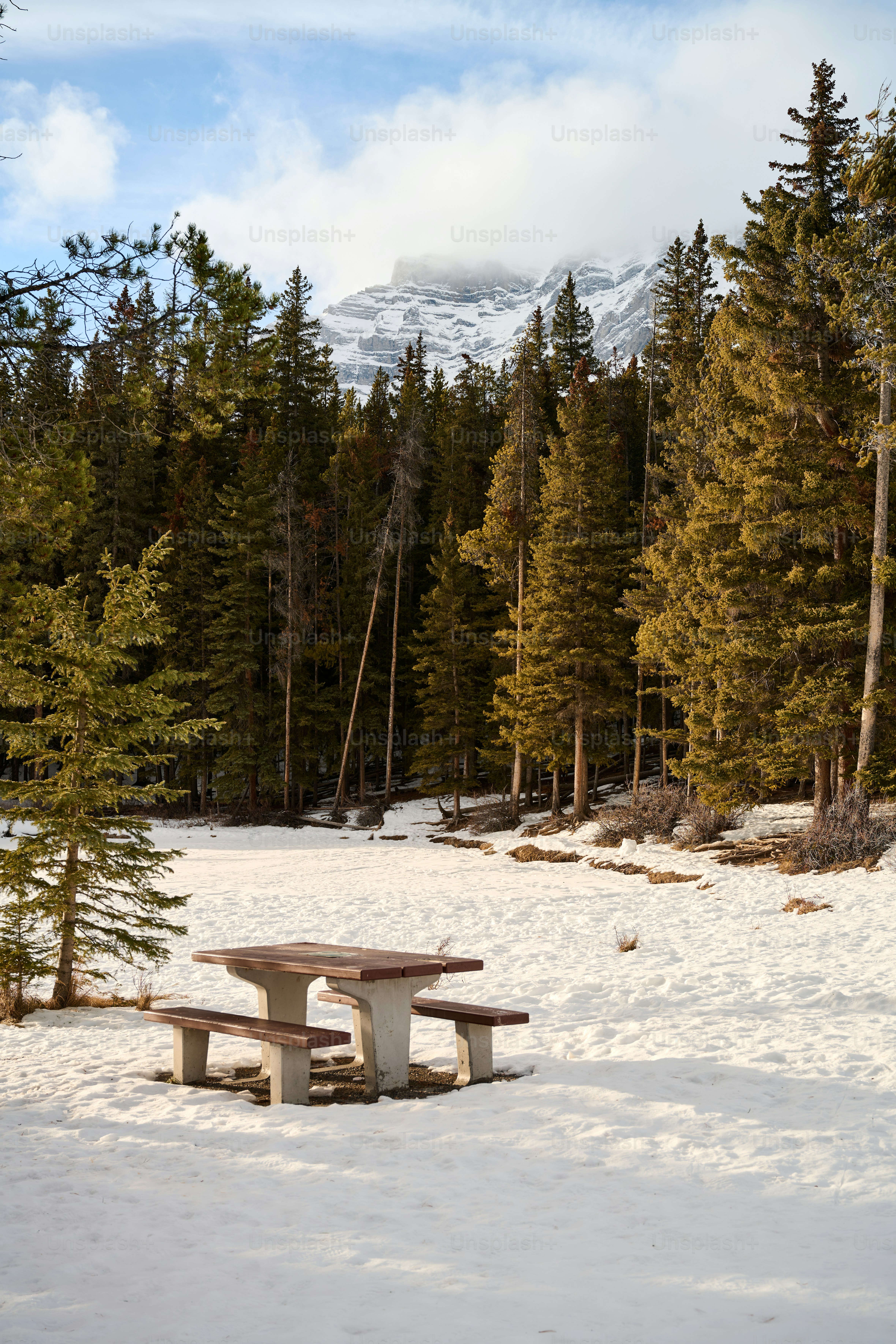 A picnic table in the middle of a snowy field photo – Picnic table ...