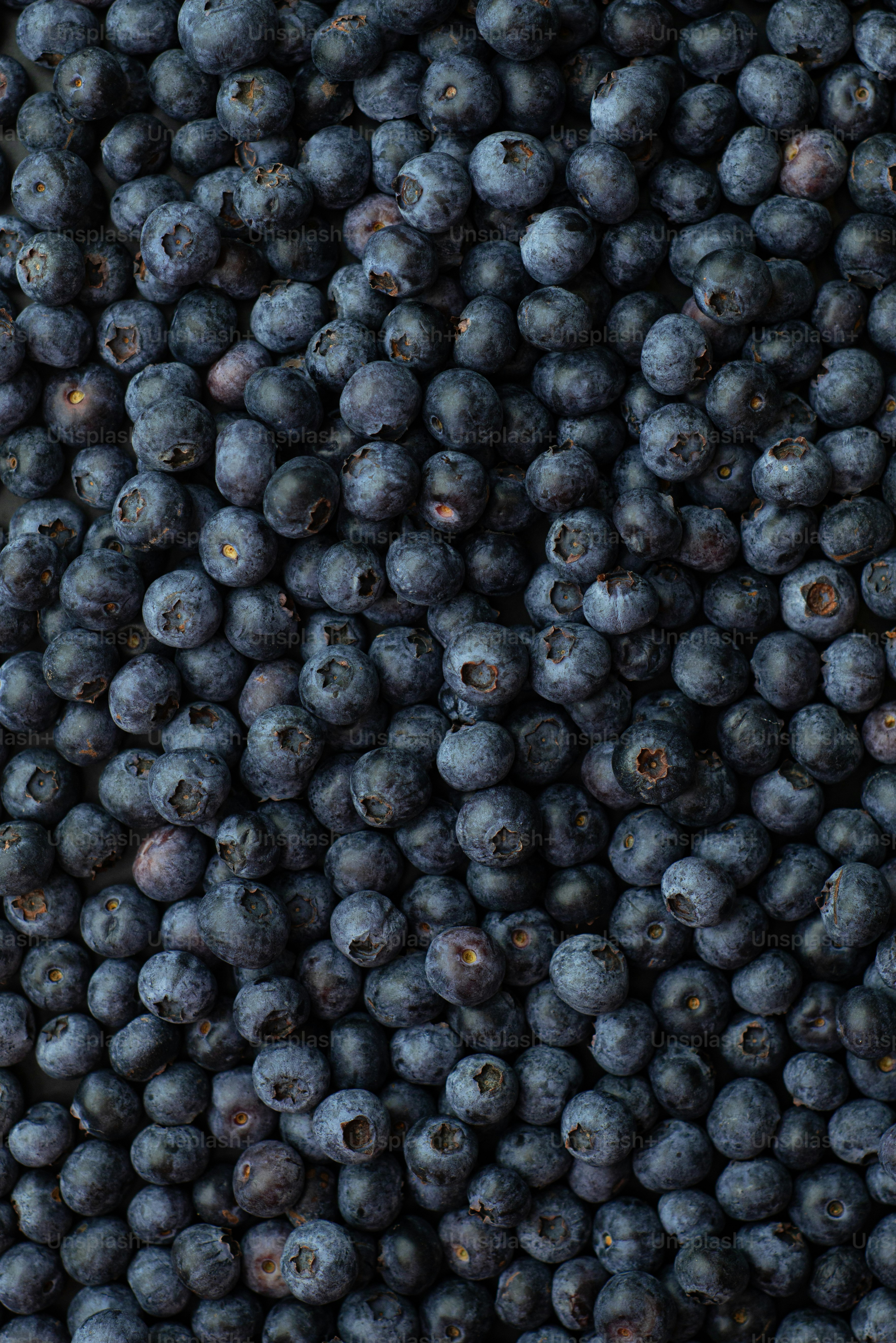 A bunch of blueberries are piled on top of each other photo ...