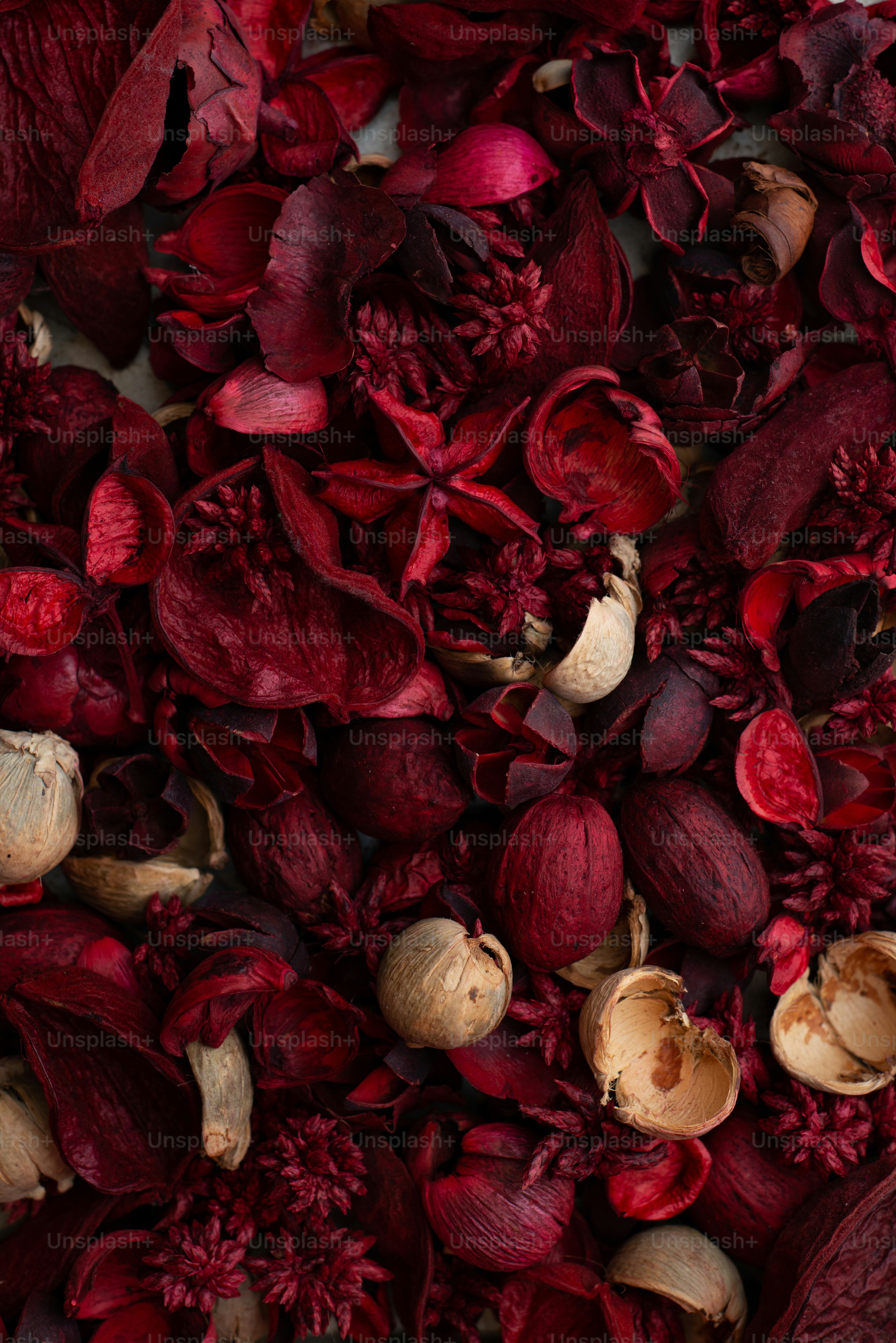 100+ Red Pictures [HQ] | Download Free Images on Unsplash