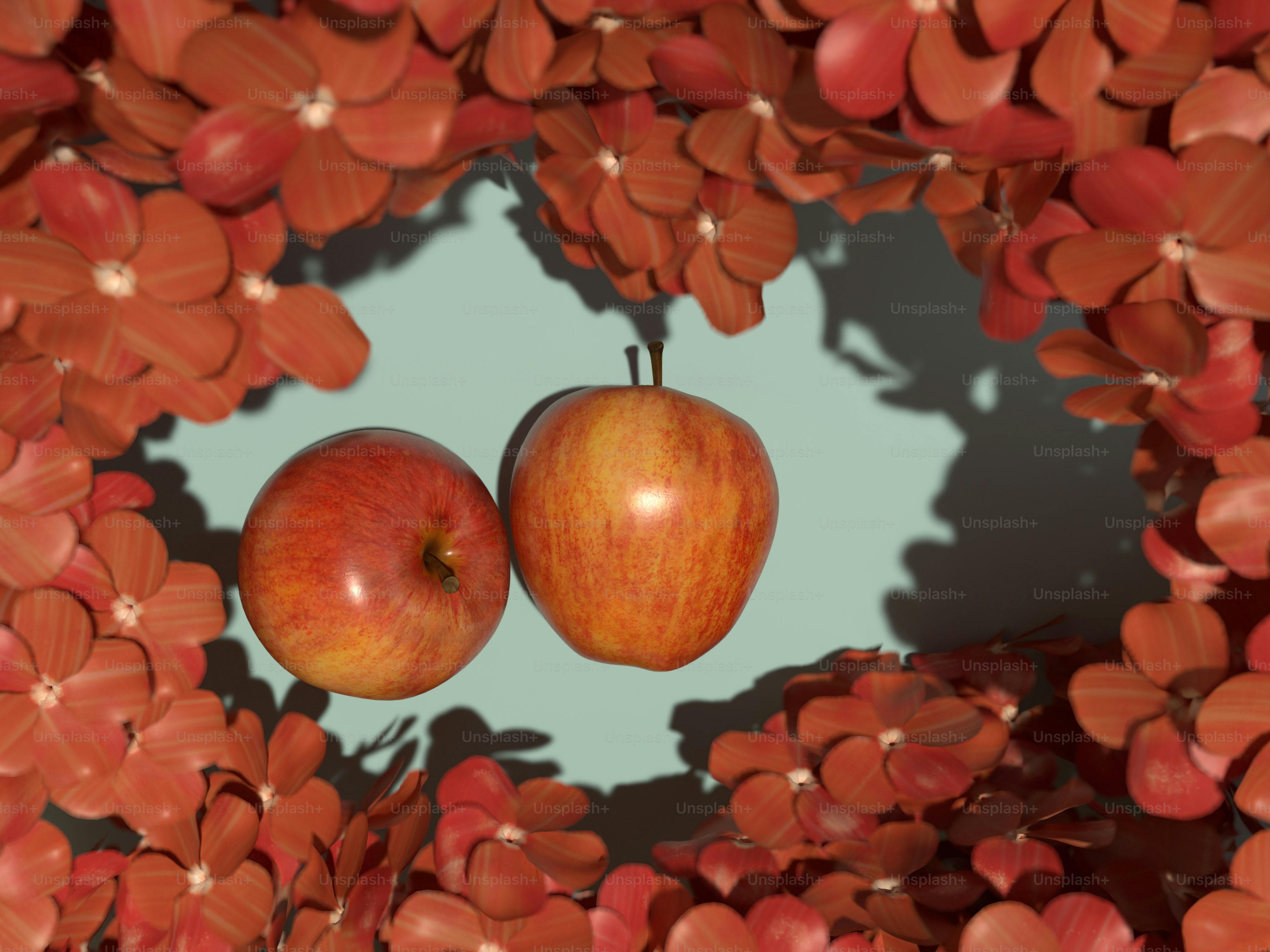 A couple of apples sitting on top of a table photo – Apple Image on ...