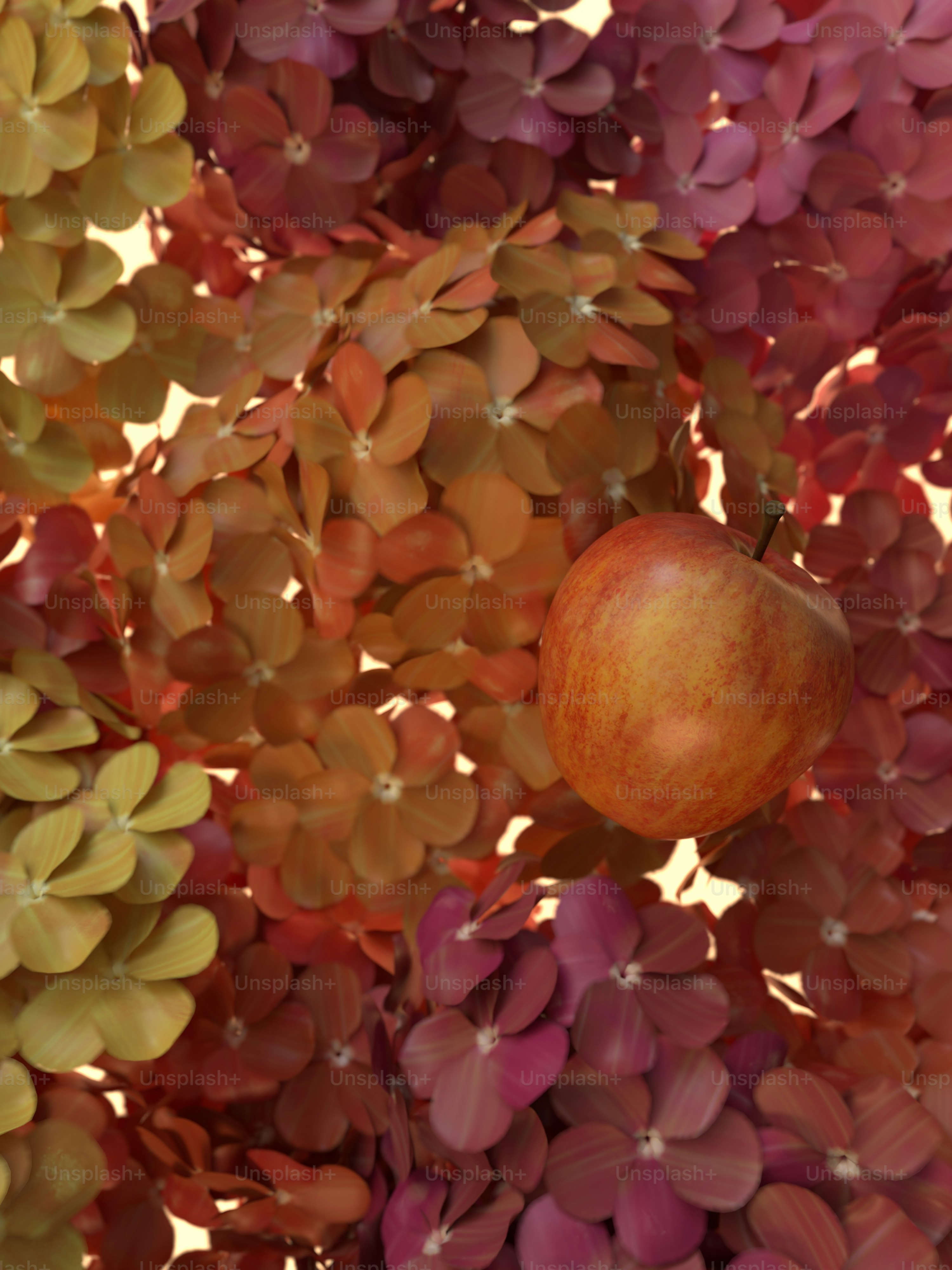 Apple Fruit Pictures | Download Free Images on Unsplash