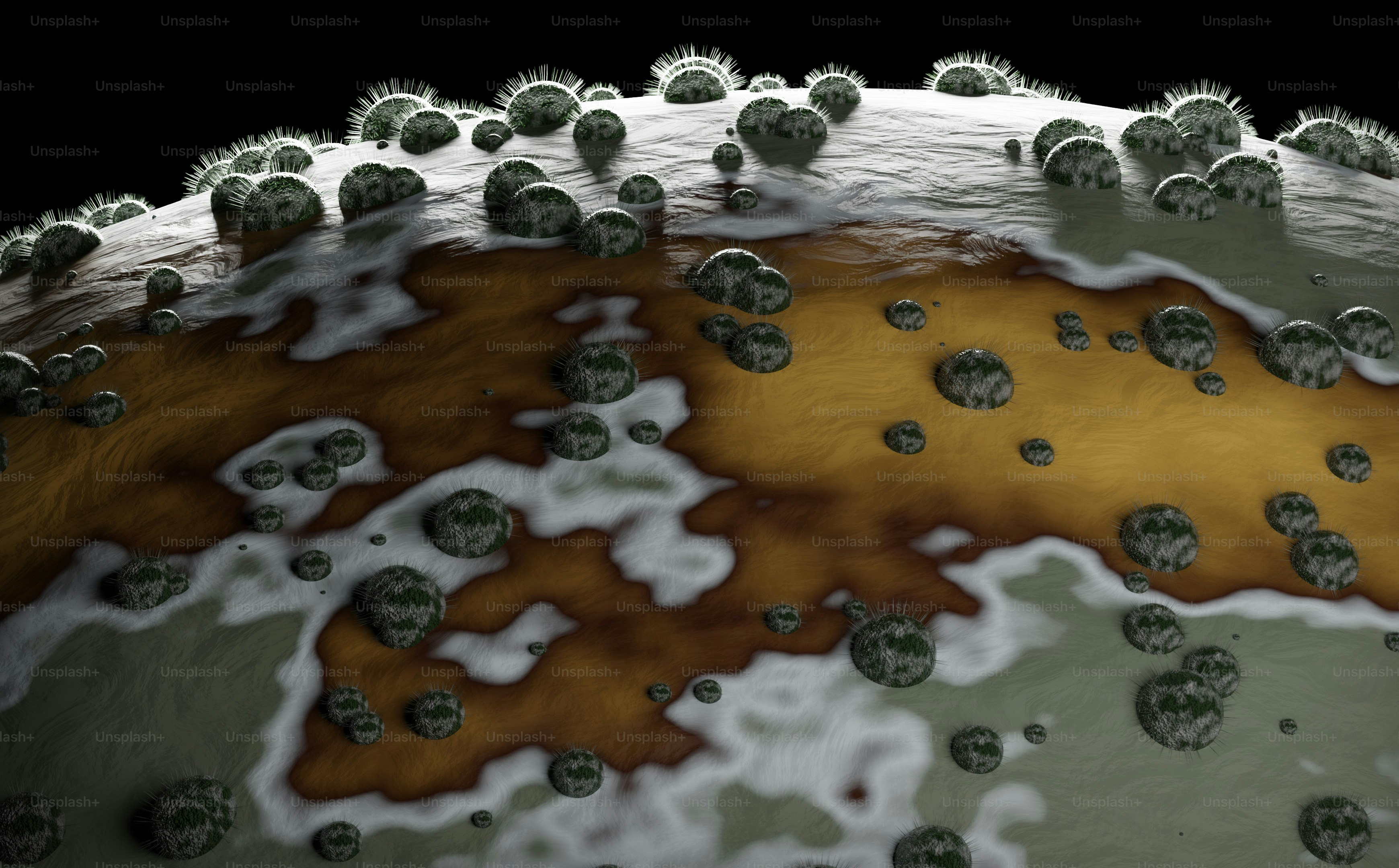 Rotten Pictures | Download Free Images on Unsplash