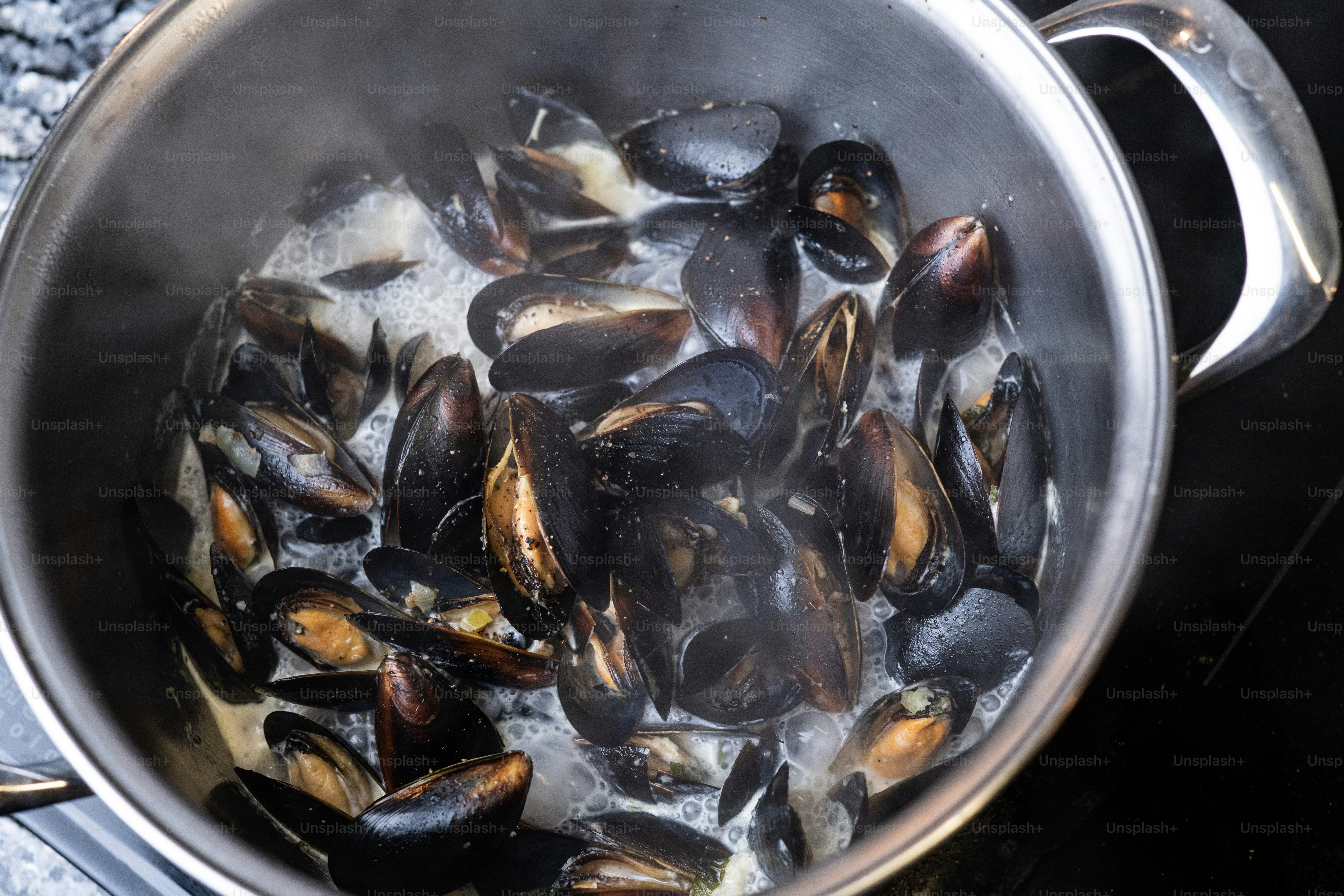Mussels Pictures | Download Free Images on Unsplash