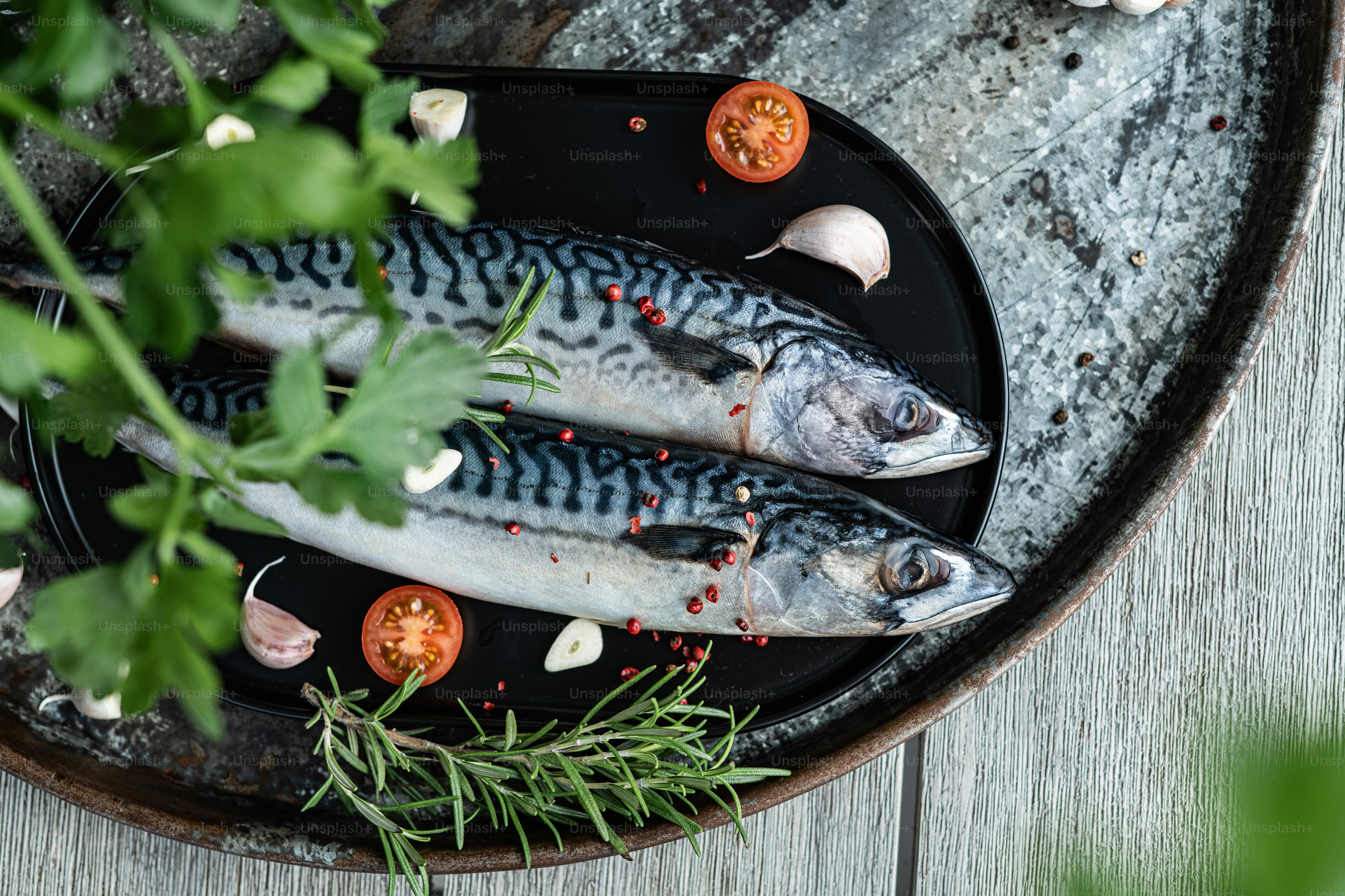 A couple of fish sitting on top of a pan photo – Freshly caught Image ...