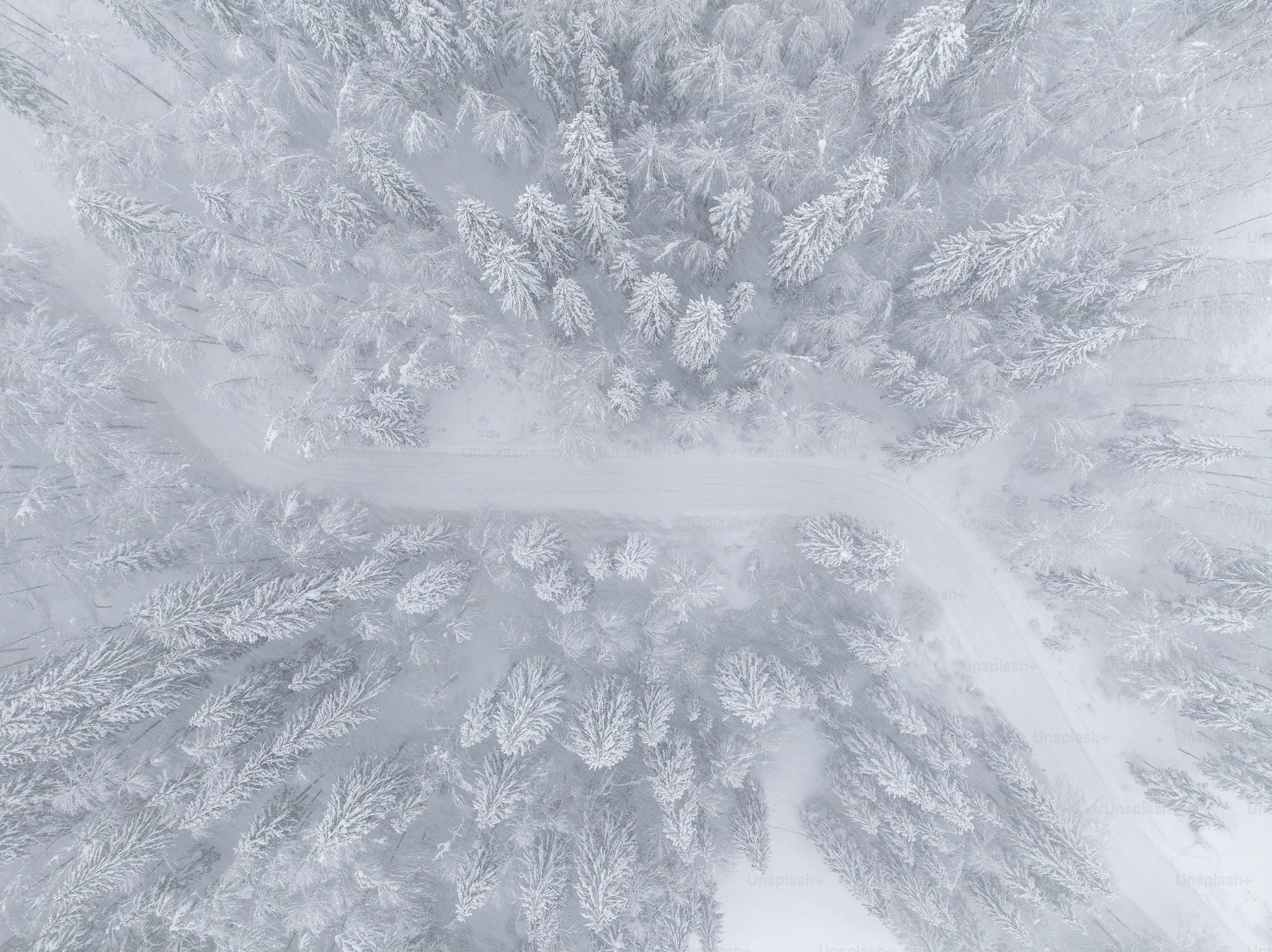 An aerial view of snow covered trees and a road photo – White wallpaper ...