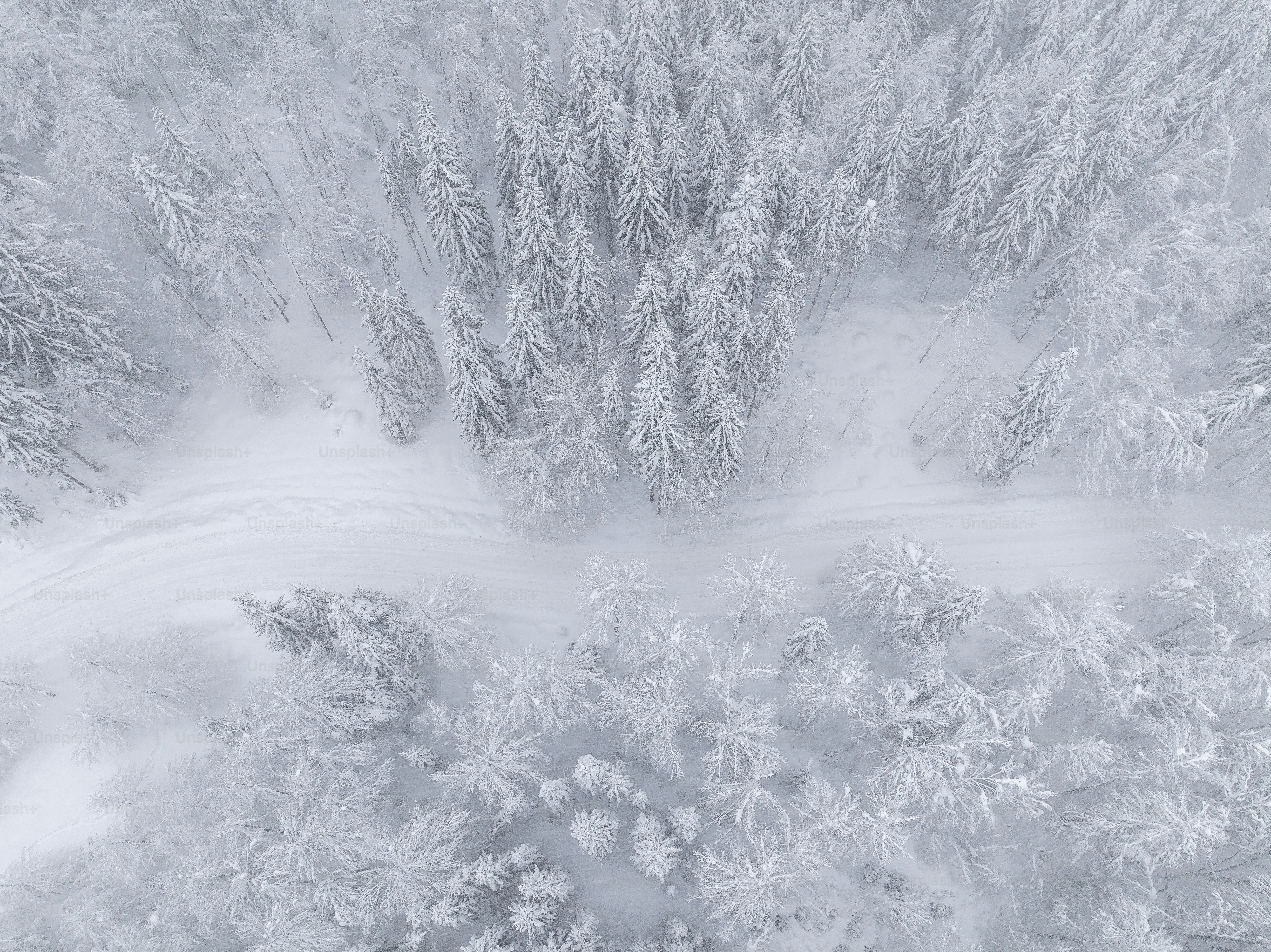 An aerial view of snow covered trees and a road photo – White wallpaper ...