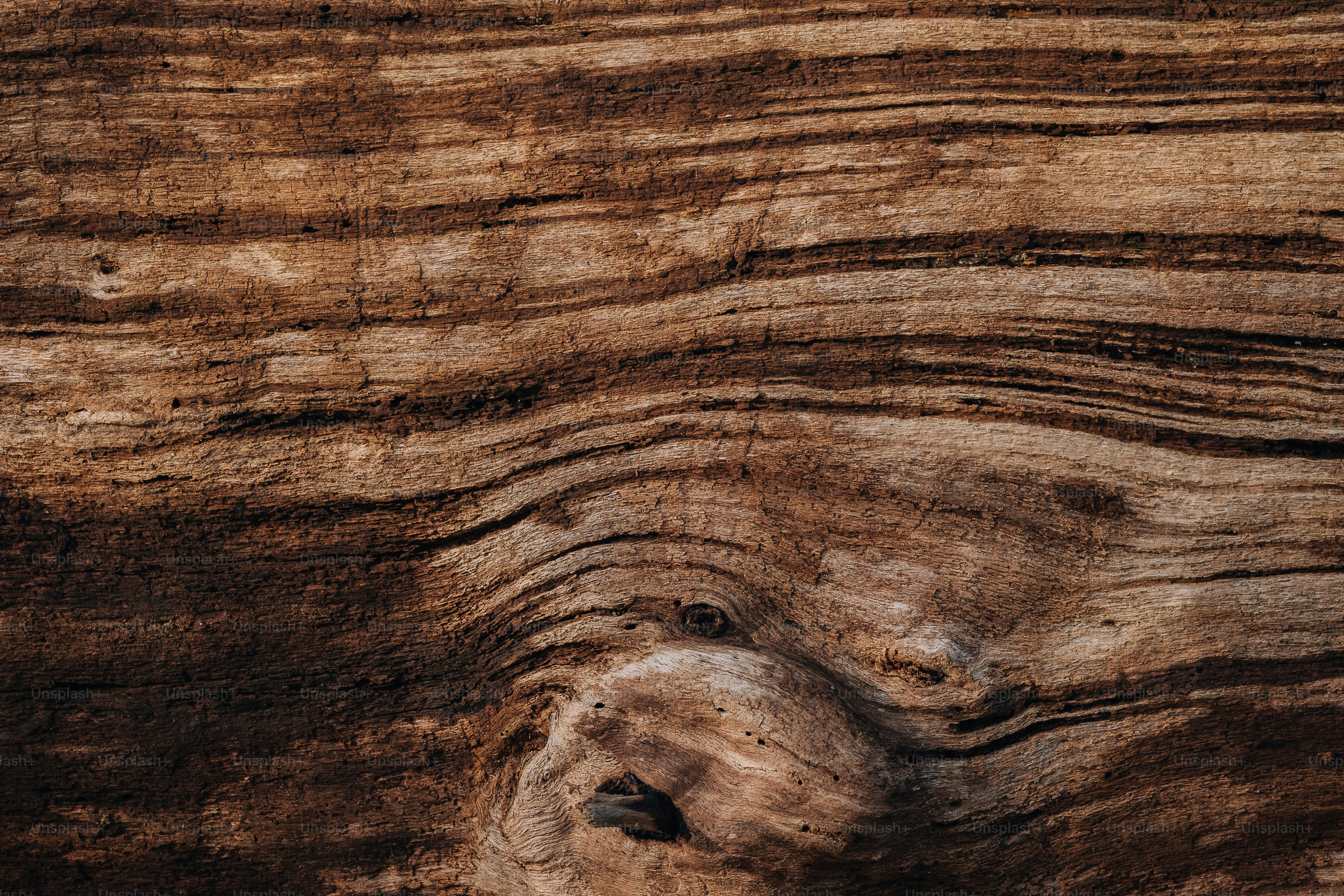 A piece of wood that has been cut in half photo – Close up Image on ...