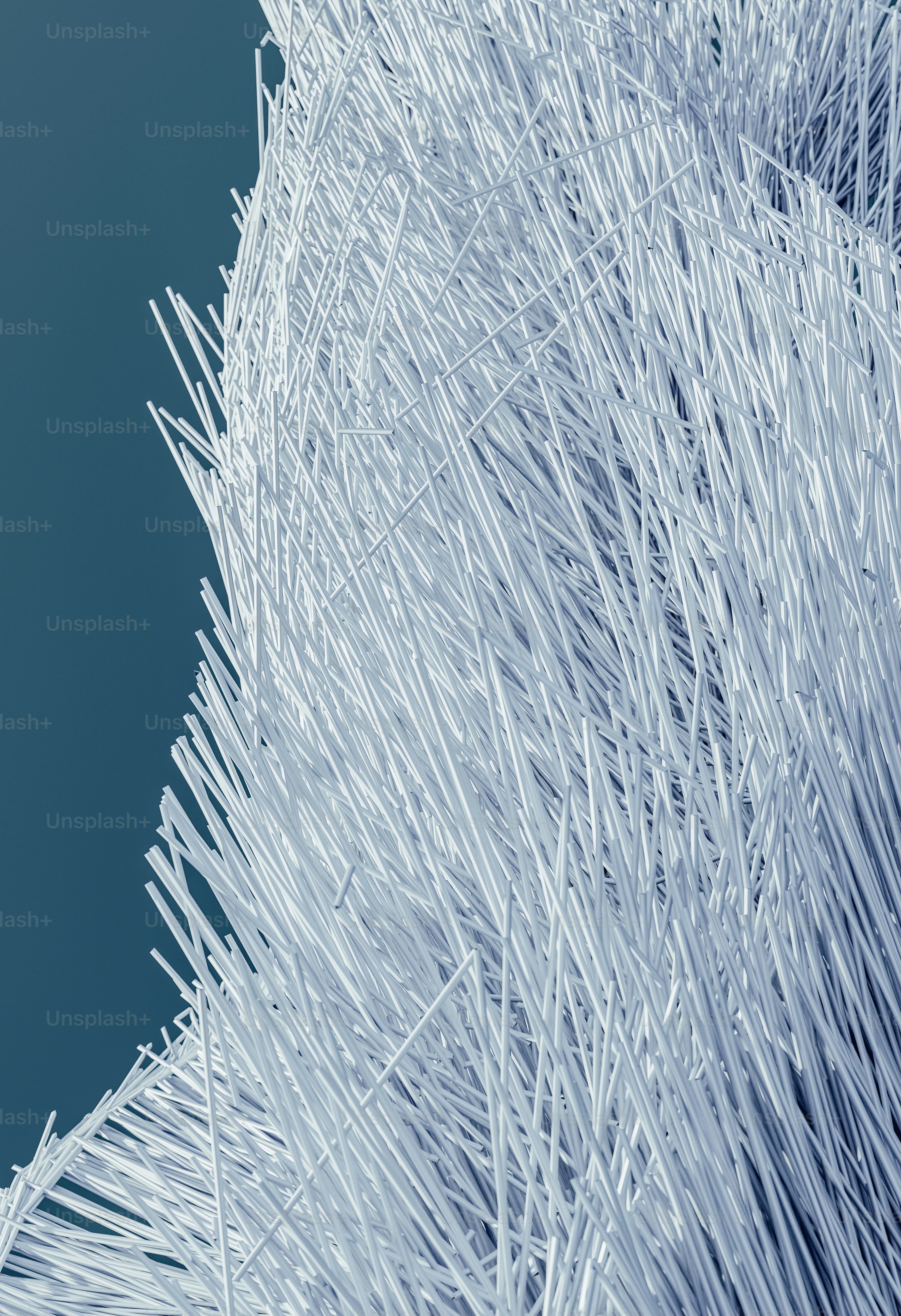 A close up of a bunch of white sticks photo – Wallpapers Image on Unsplash