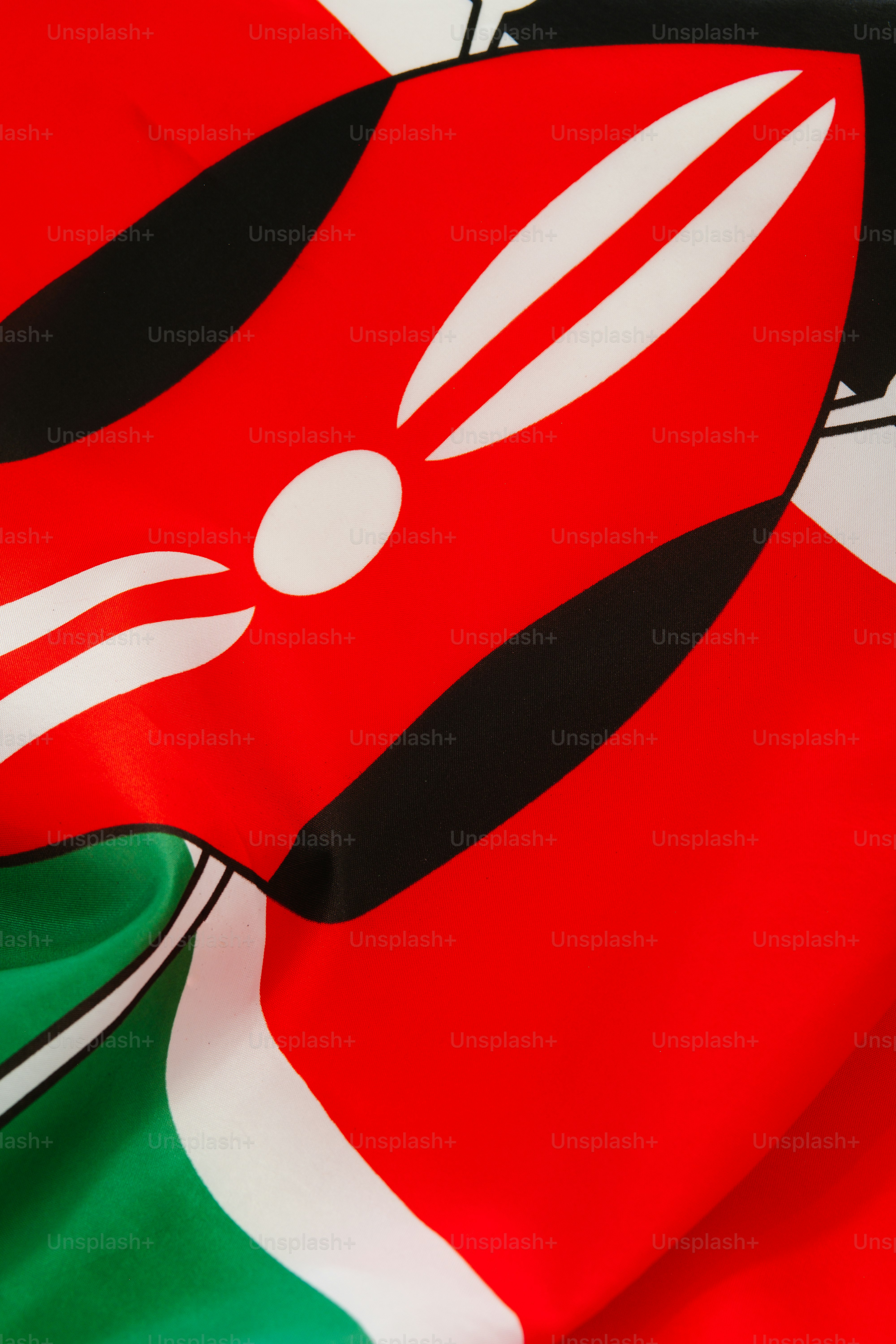 Kenyan Flag Pictures | Download Free Images on Unsplash