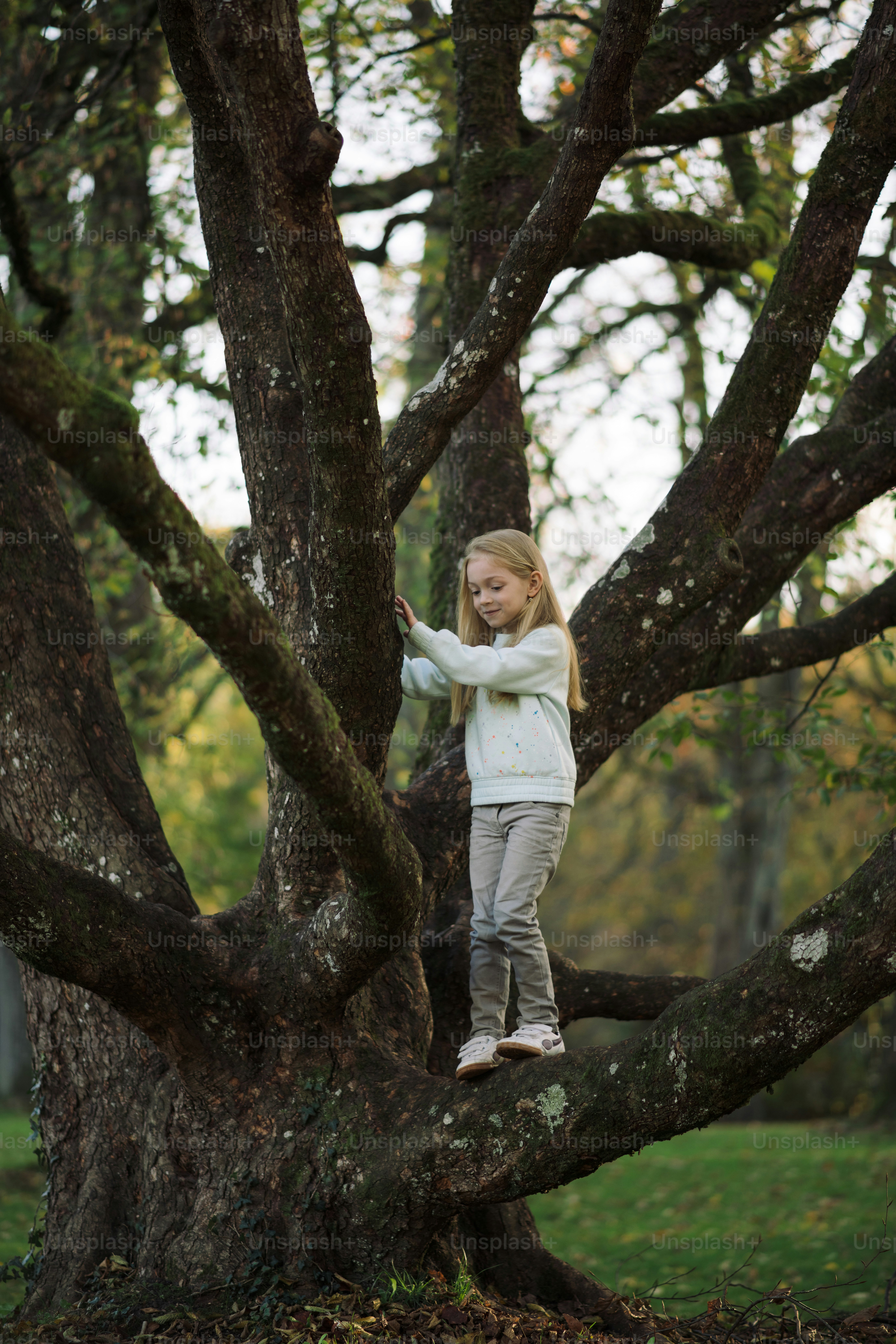 A little girl standing on a tree branch photo – Mother Image on Unsplash