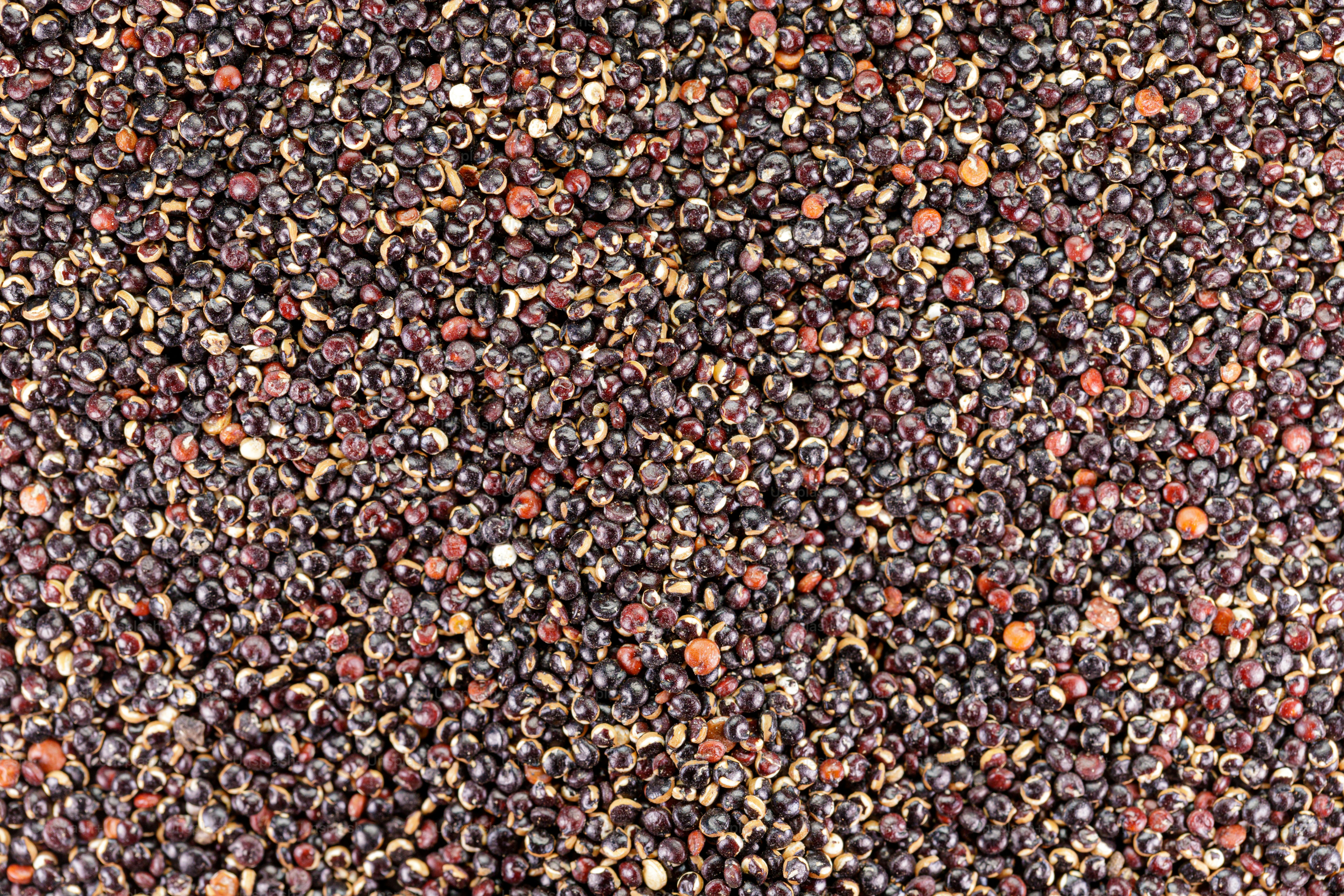 A close up of a pile of rice photo – Texture Image on Unsplash