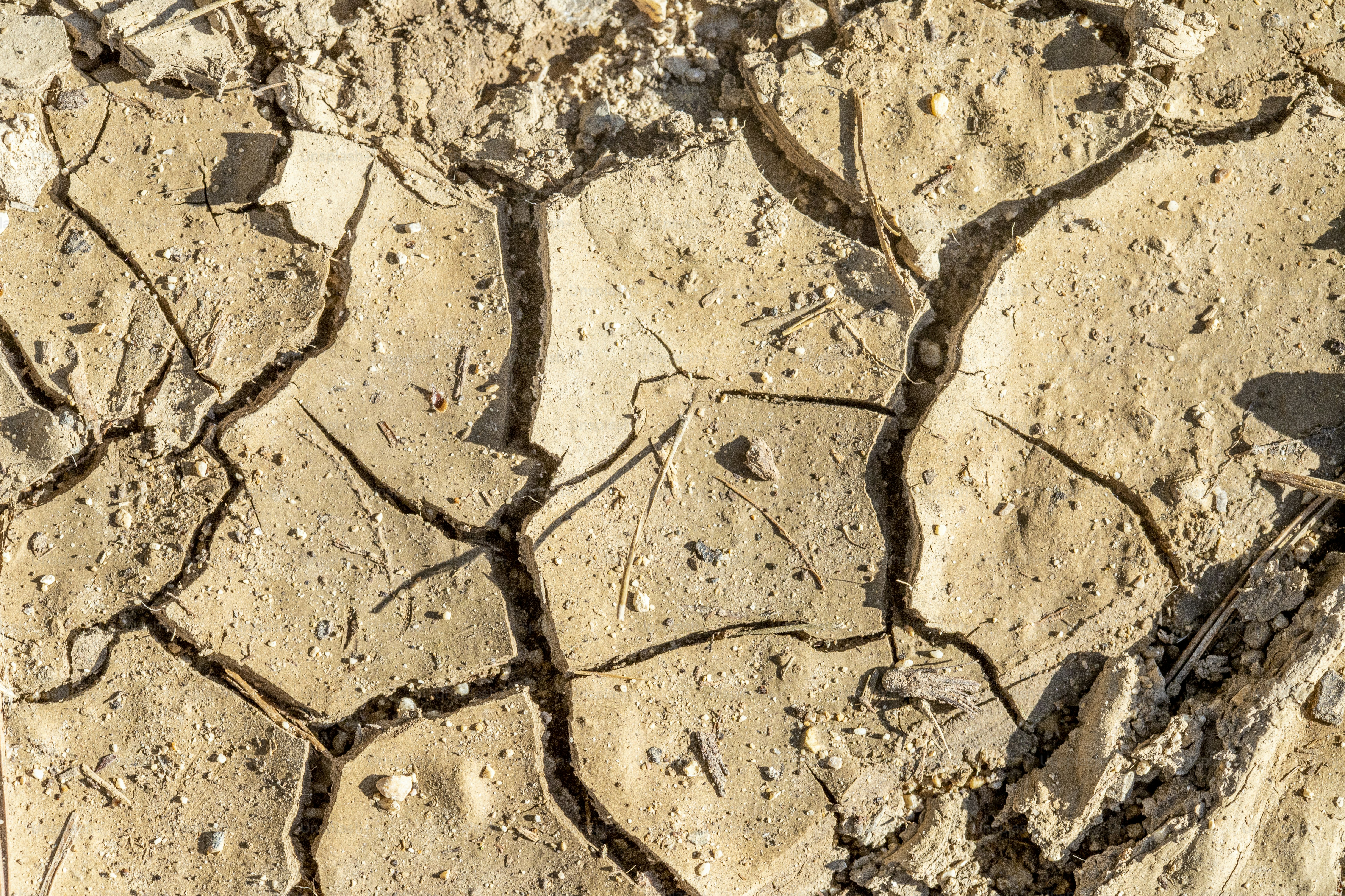 1500+ Ground Pictures | Download Free Images on Unsplash