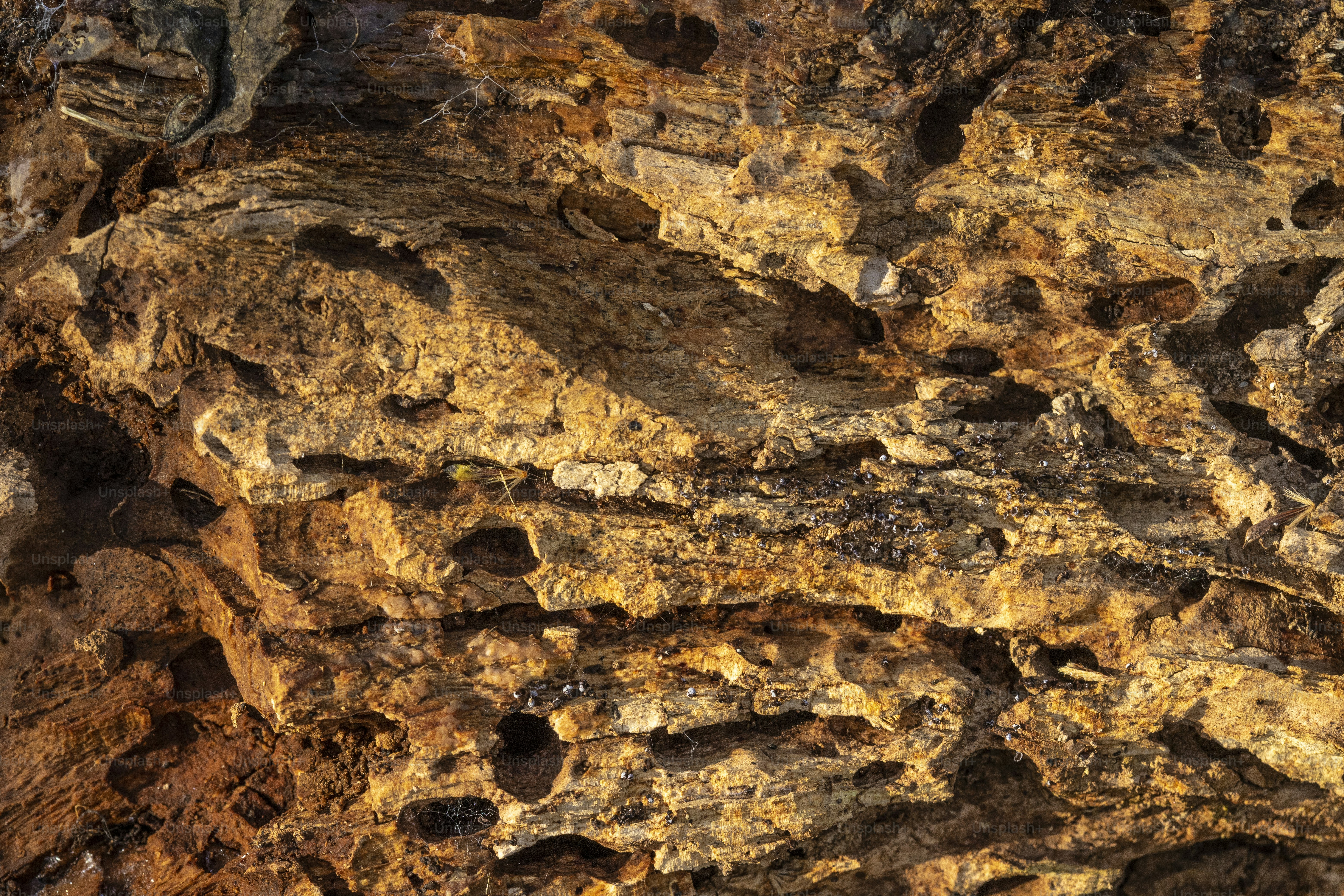 A bird is perched on a rock formation photo – Rock Image on Unsplash