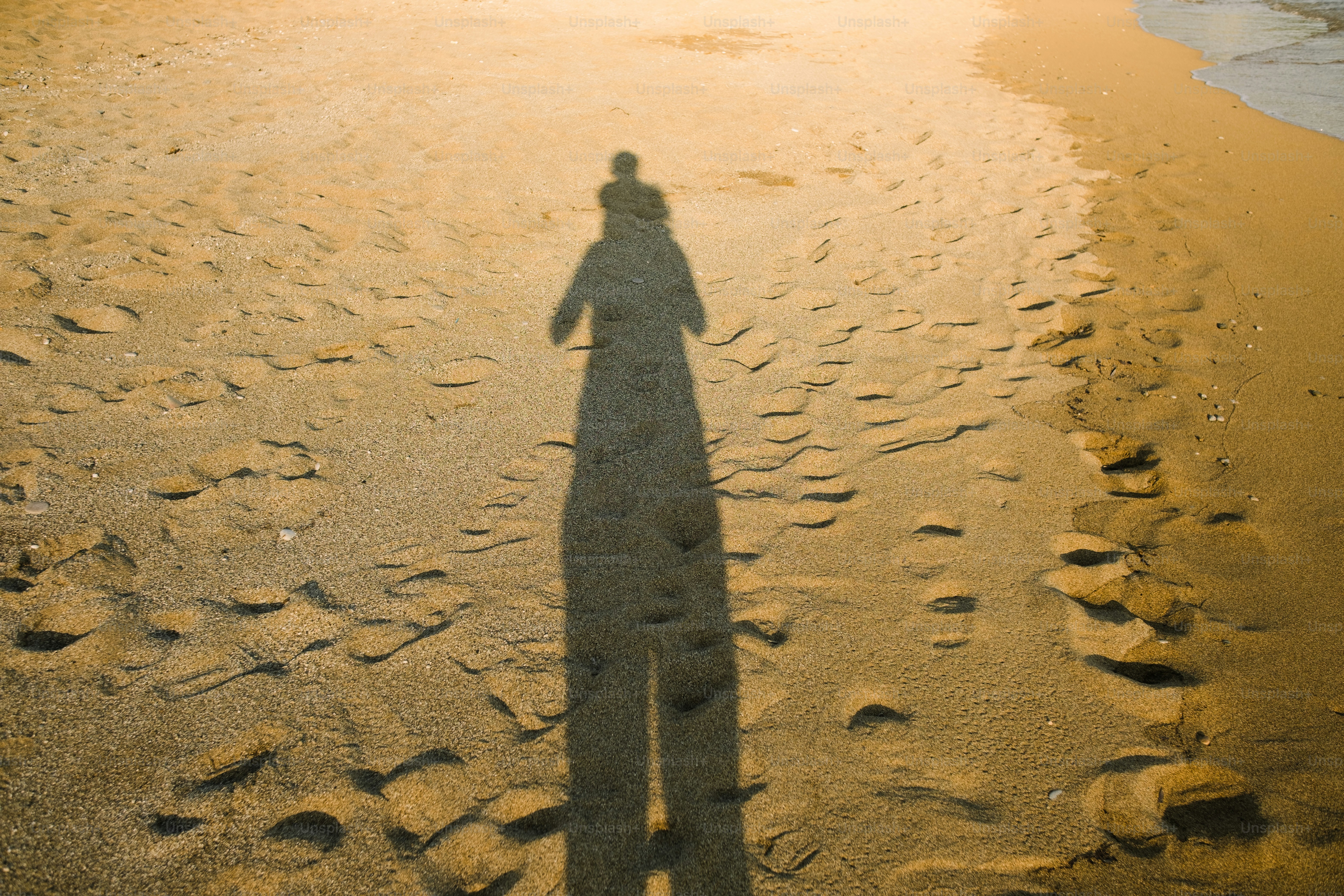 100+ Shoulder Pictures | Download Free Images on Unsplash