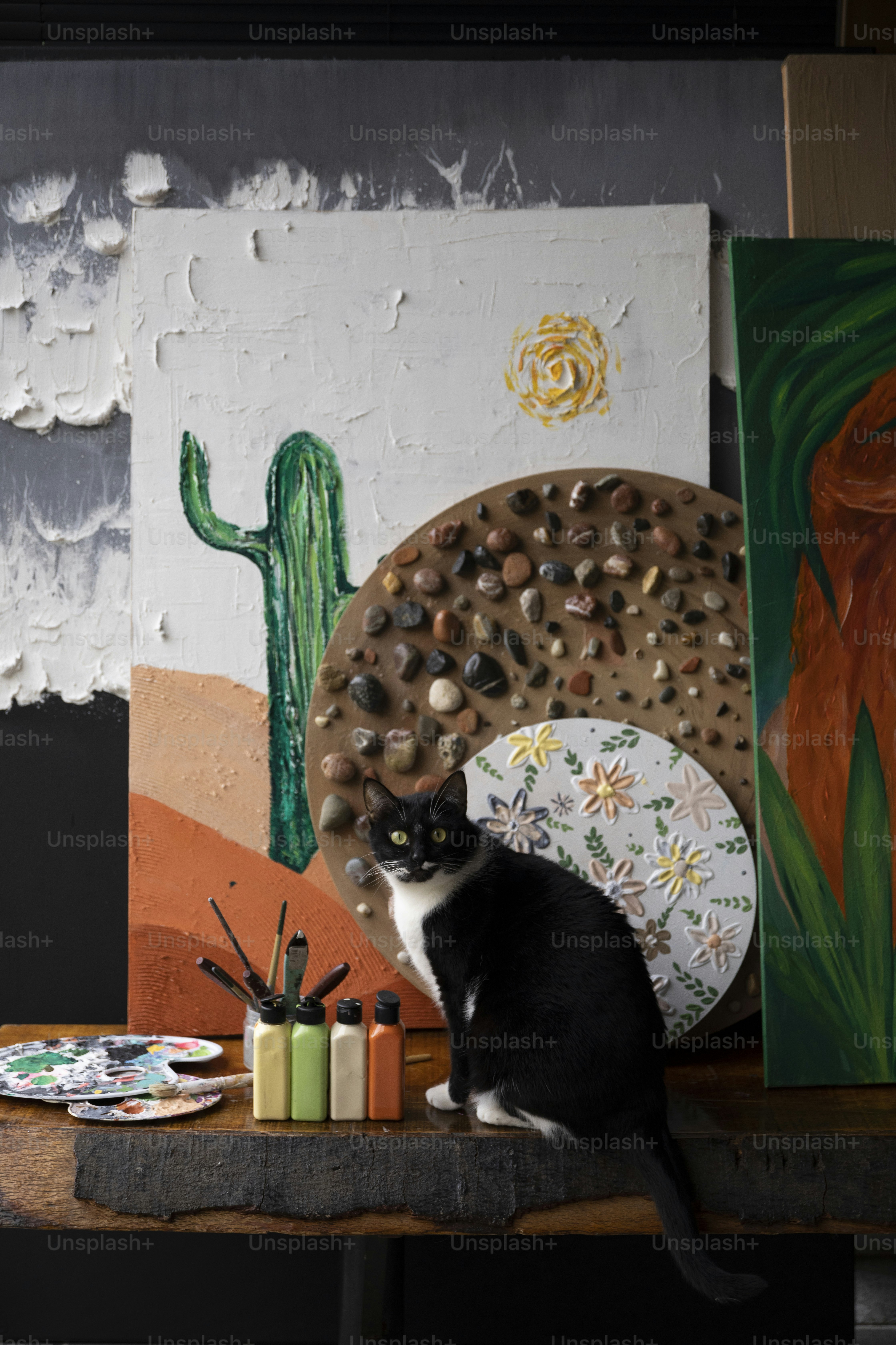 Elgato Cat Wallpaper Pictures | Download Free Images on Unsplash