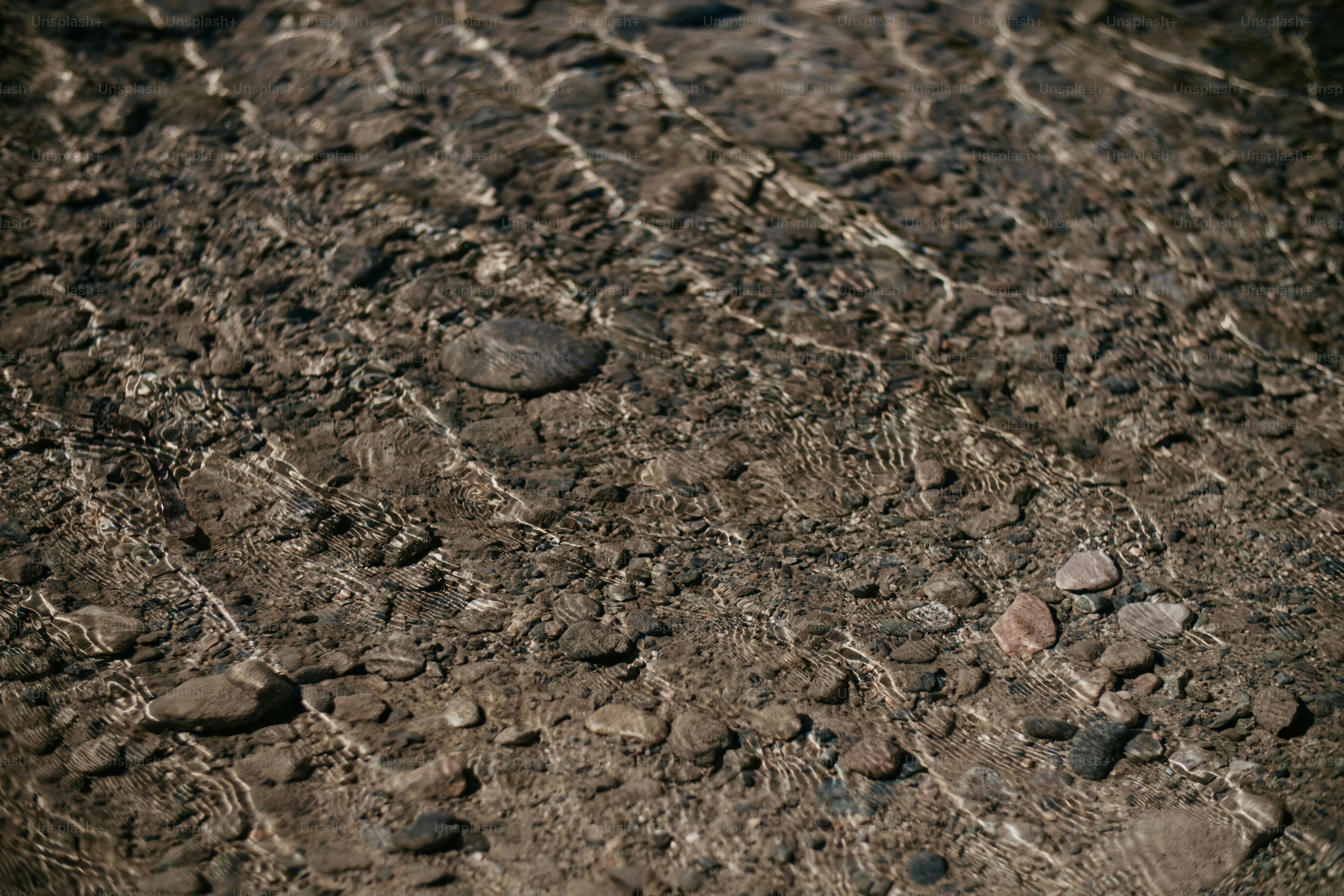 A close up of rocks and dirt on the ground photo – Screensaver Image on ...
