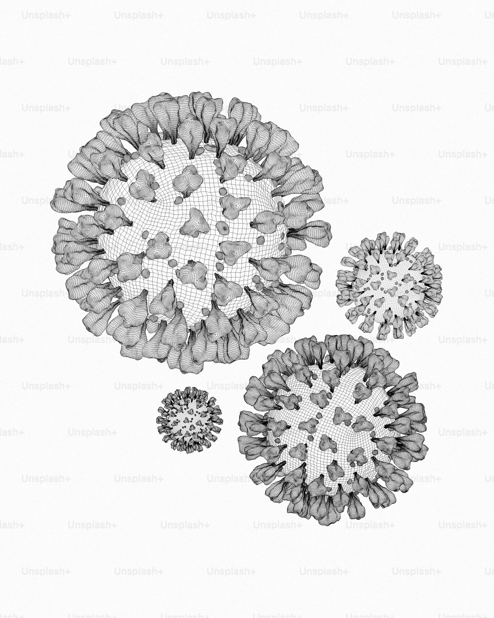 A black and white photo of a bunch of flowers photo – Infection Image ...